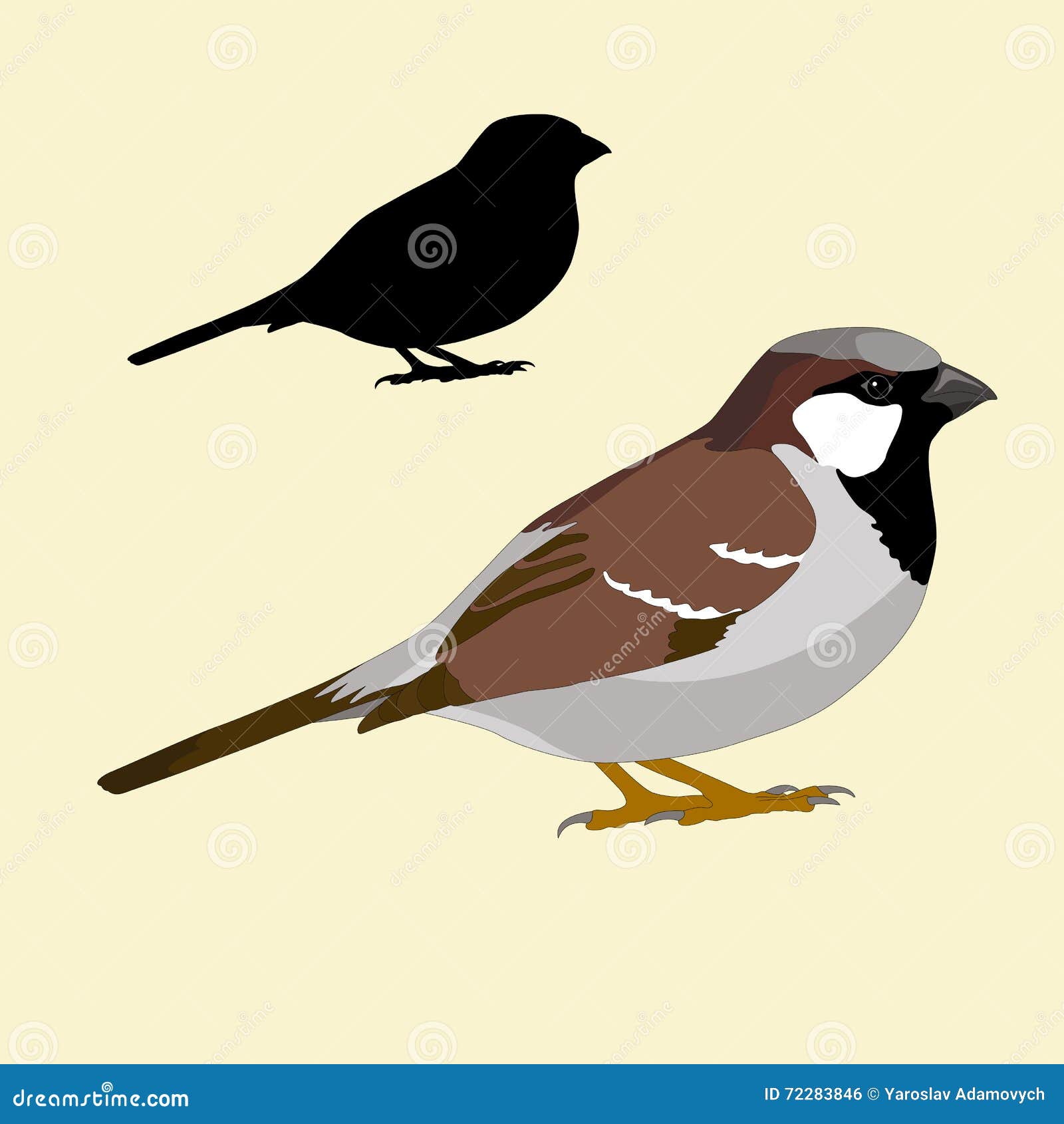 Sparrow Bird Silhouette Black Realistic Stock Vector - Illustration of ...