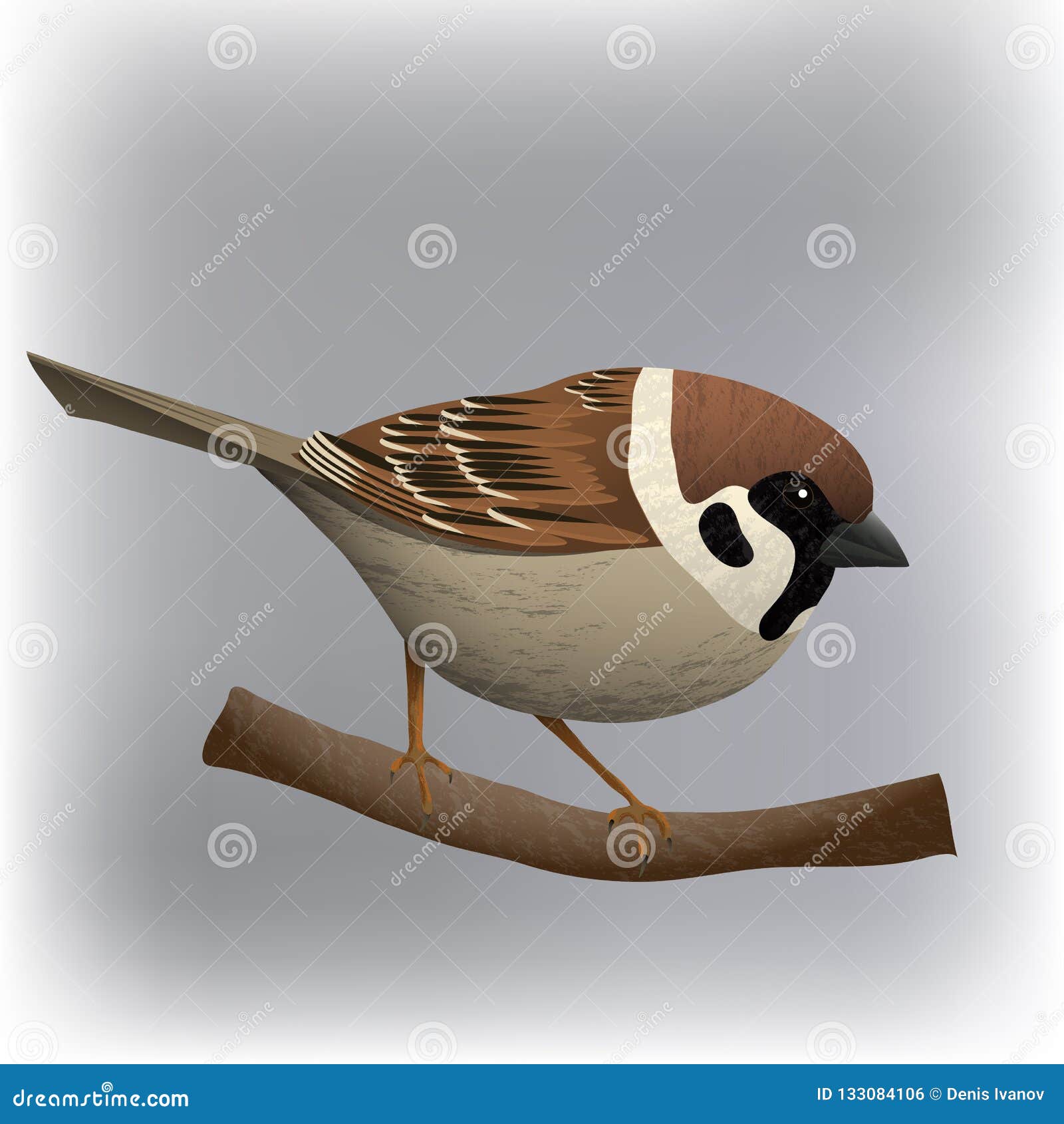 Sparrow Bird Vector Illustration Stock Illustration - Illustration of ...