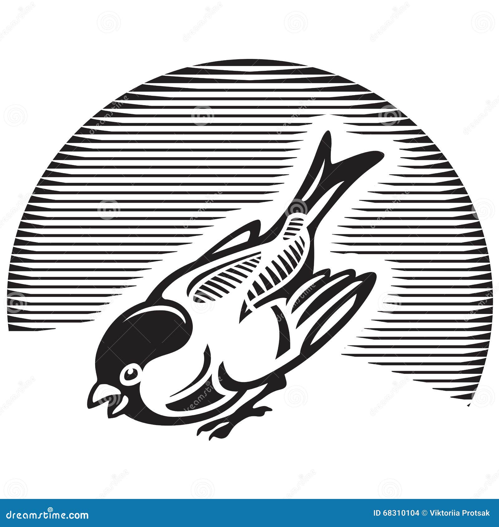 Sparrow stock vector. Illustration of bird, white, wing - 68310104