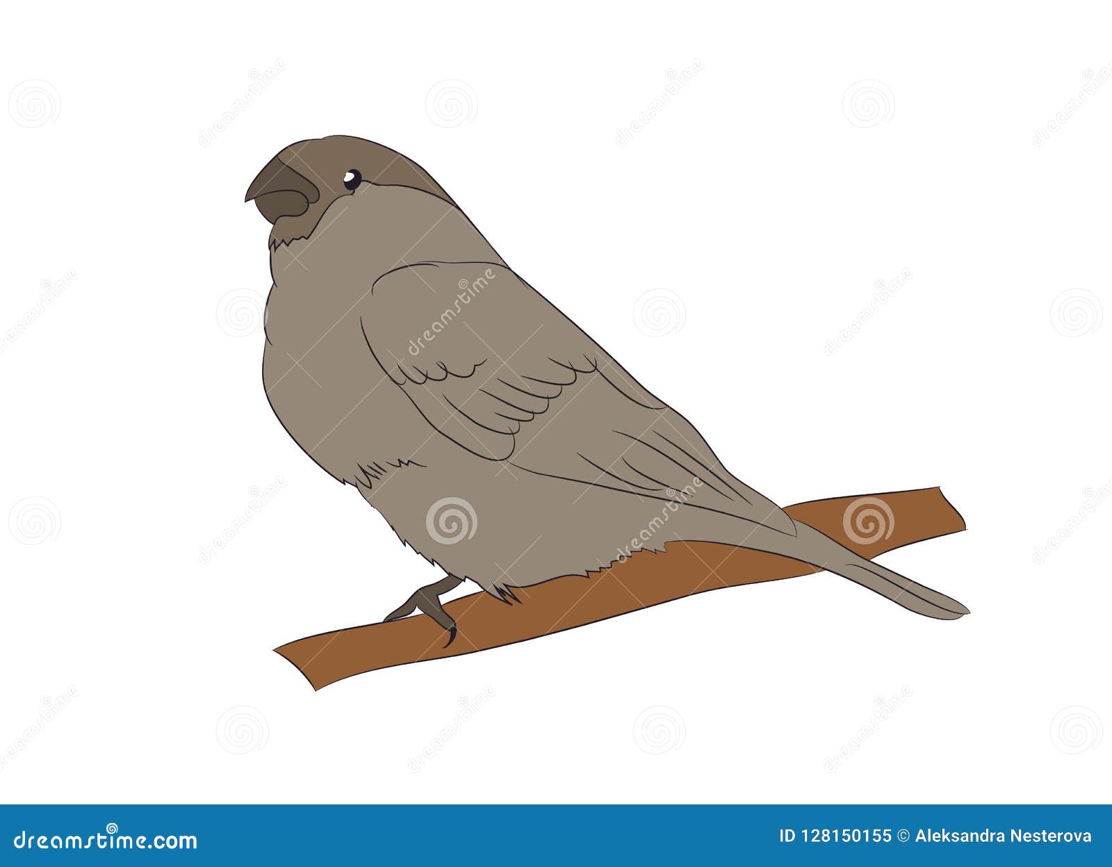 A Sparrow of Color. Vector, Stock Vector - Illustration of abstract ...