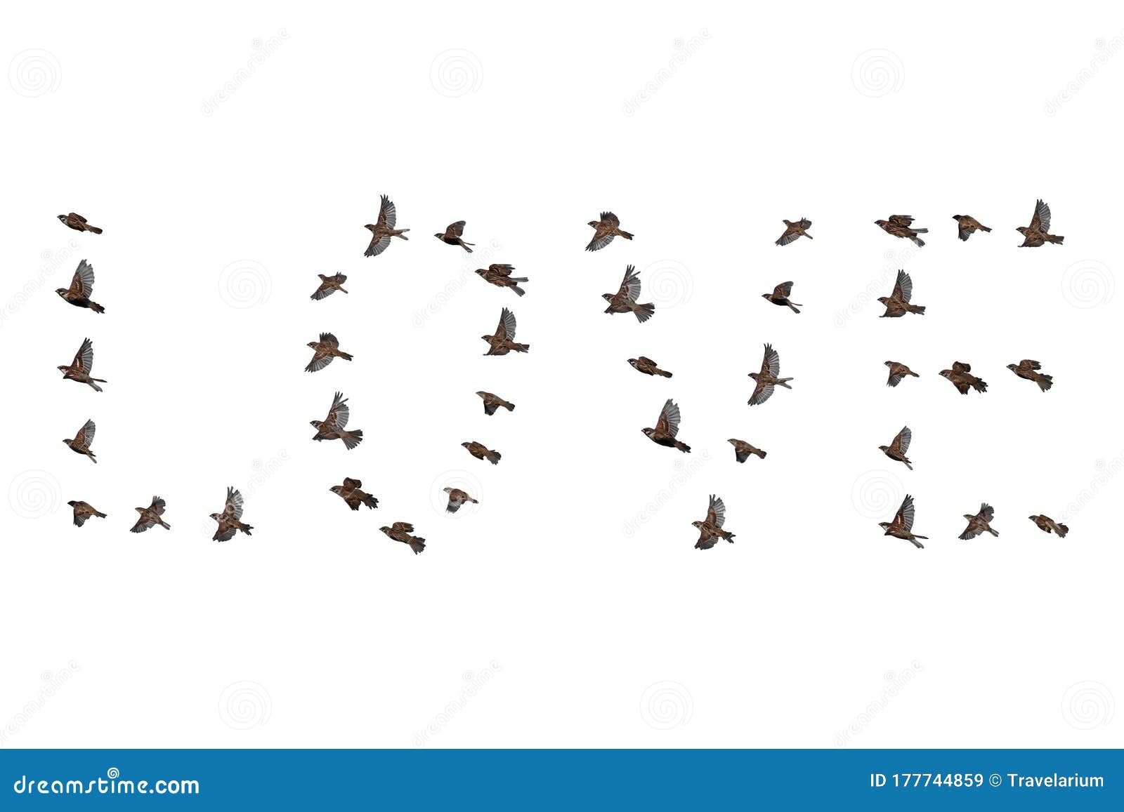 Sparrow Flock Flying in Sky, Love Concept Stock Image - Image of brown ...