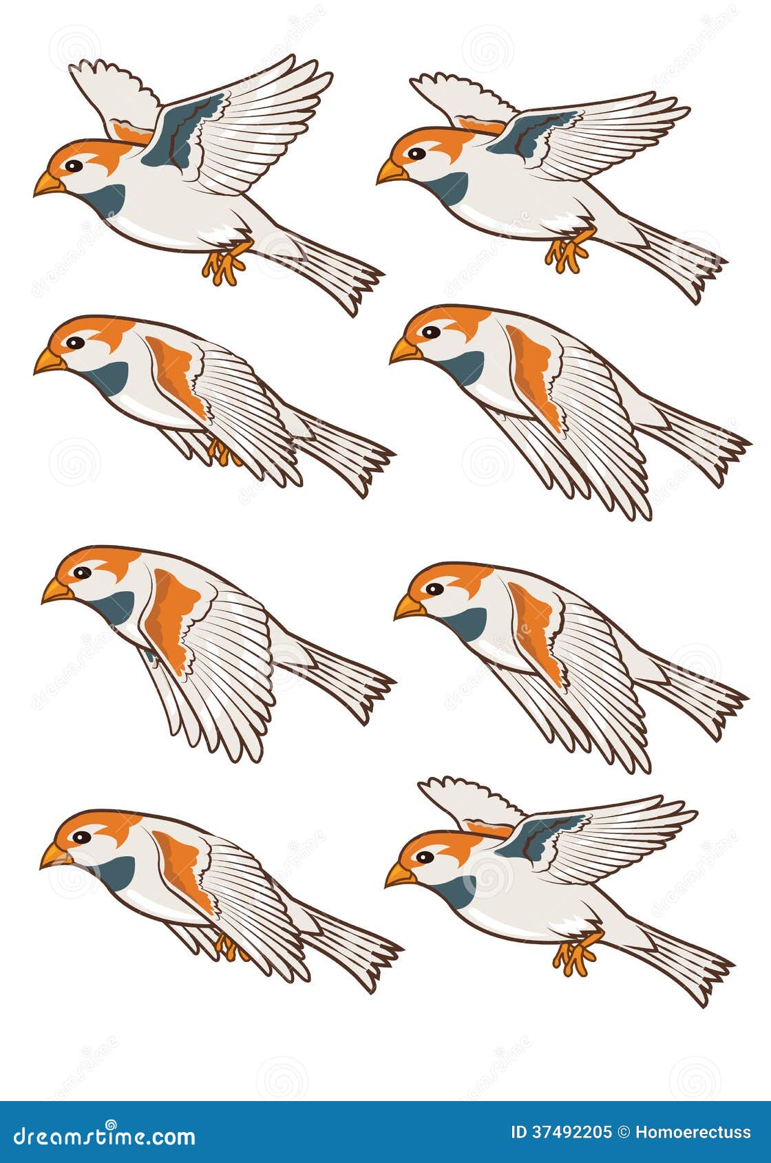 Sparrow Flying Animation Sprite Stock Illustration - Illustration of ...
