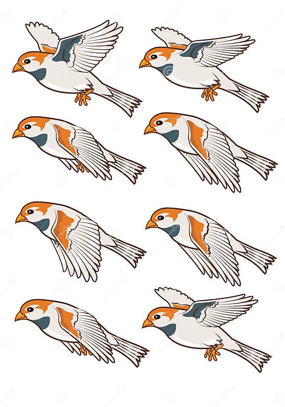 Sparrow Flying Animation Sprite Stock Illustration - Illustration of ...