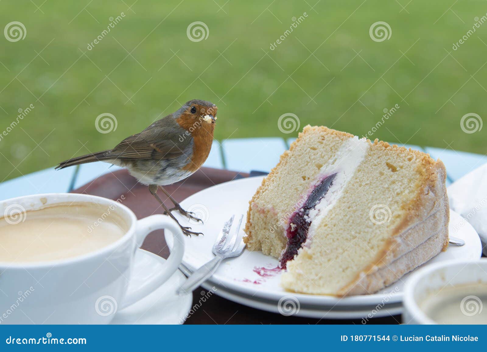 Sparrow and cake stock photo. Image of colorful, background - 180771544
