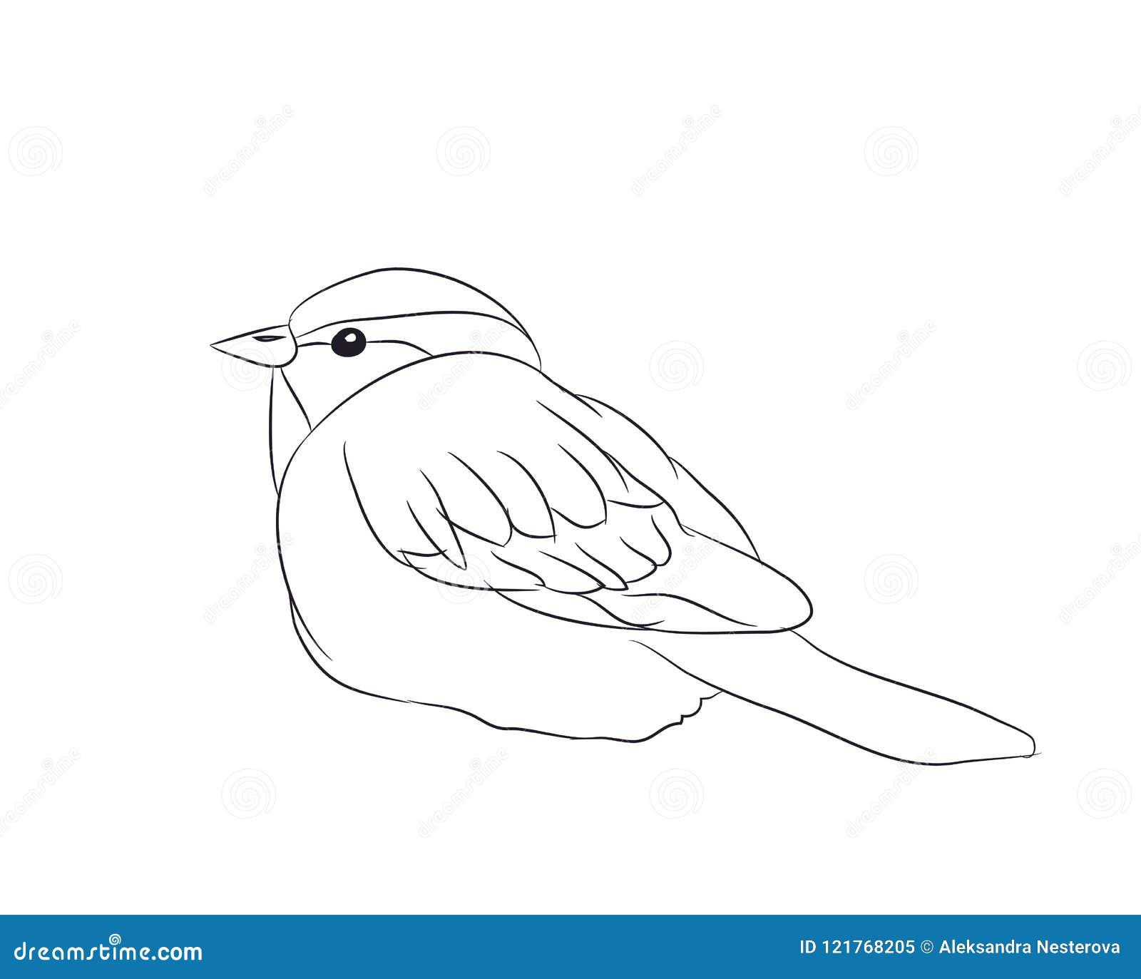 Sparrow lines, vector stock vector. Illustration of decoration - 121768205