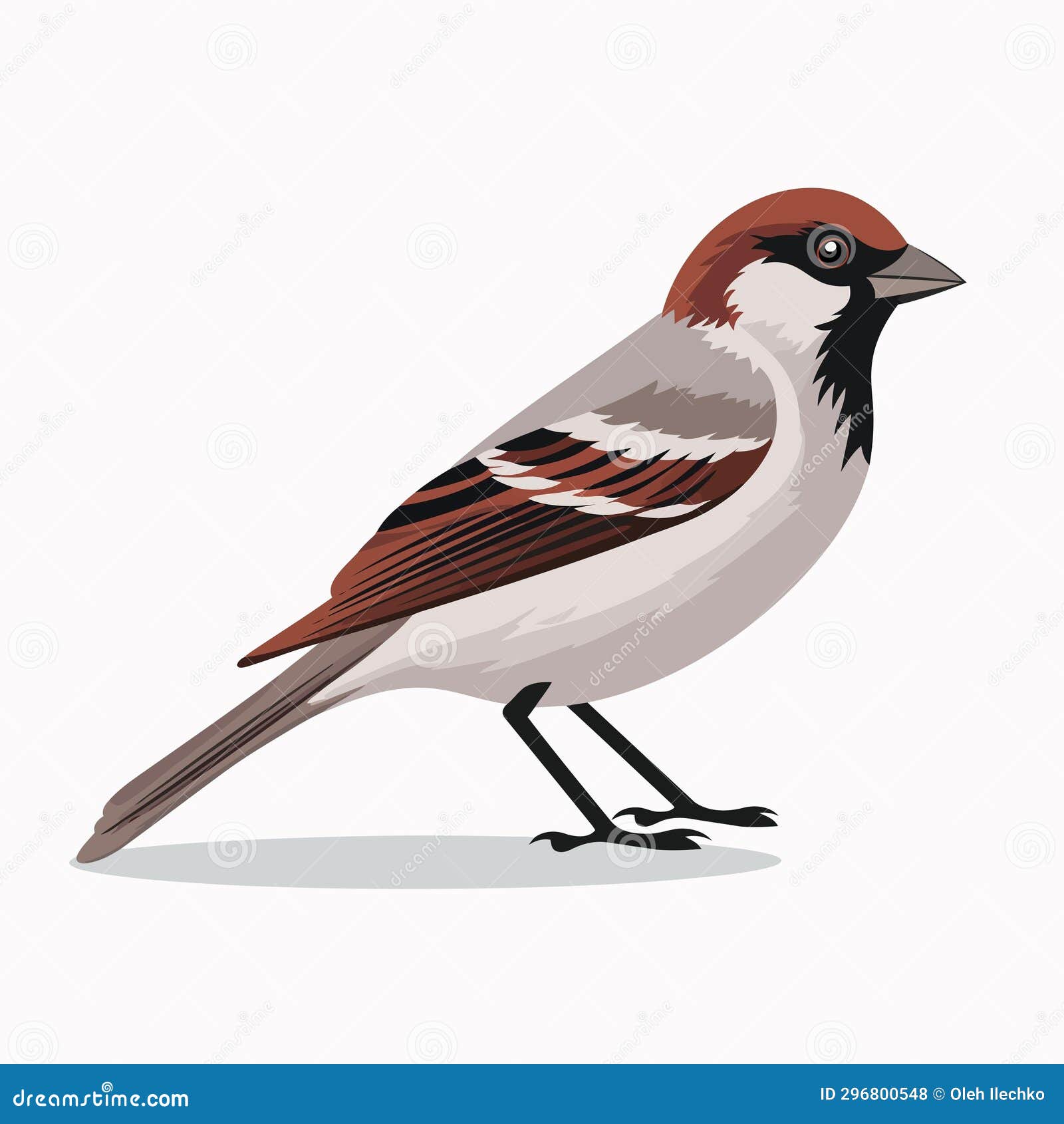 Sparrow (vector Clip-art) | CartoonDealer.com #3354218