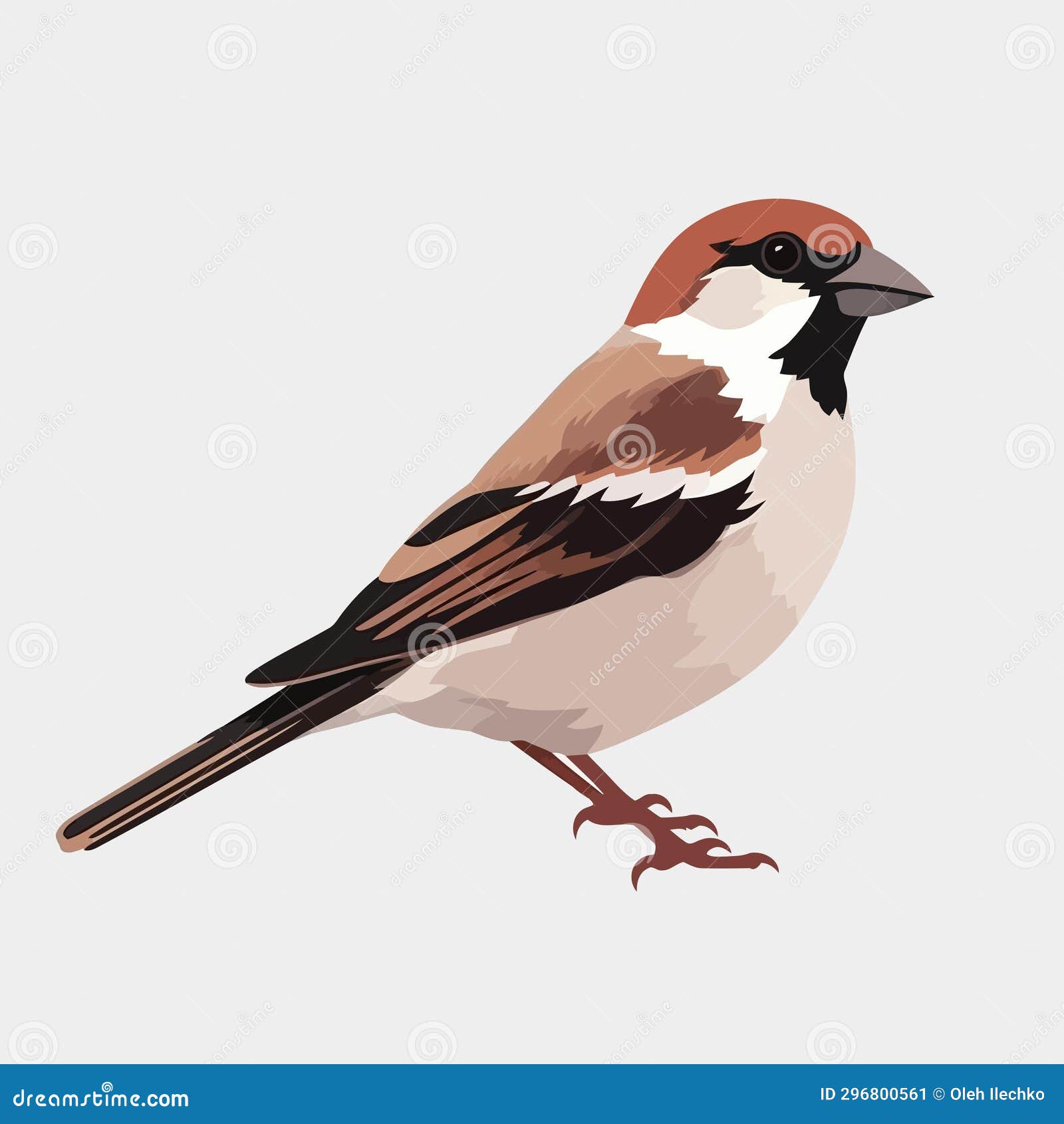 Sparrow (vector Clip-art) | CartoonDealer.com #3354218