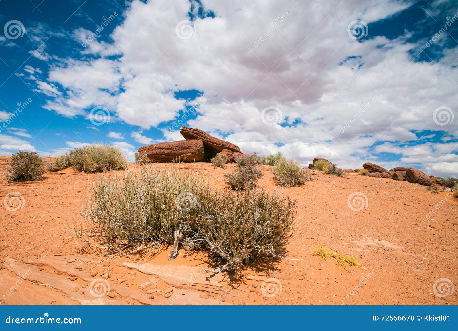 Sparse Arizona Desert stock photo. Image of nature, vast - 72556670