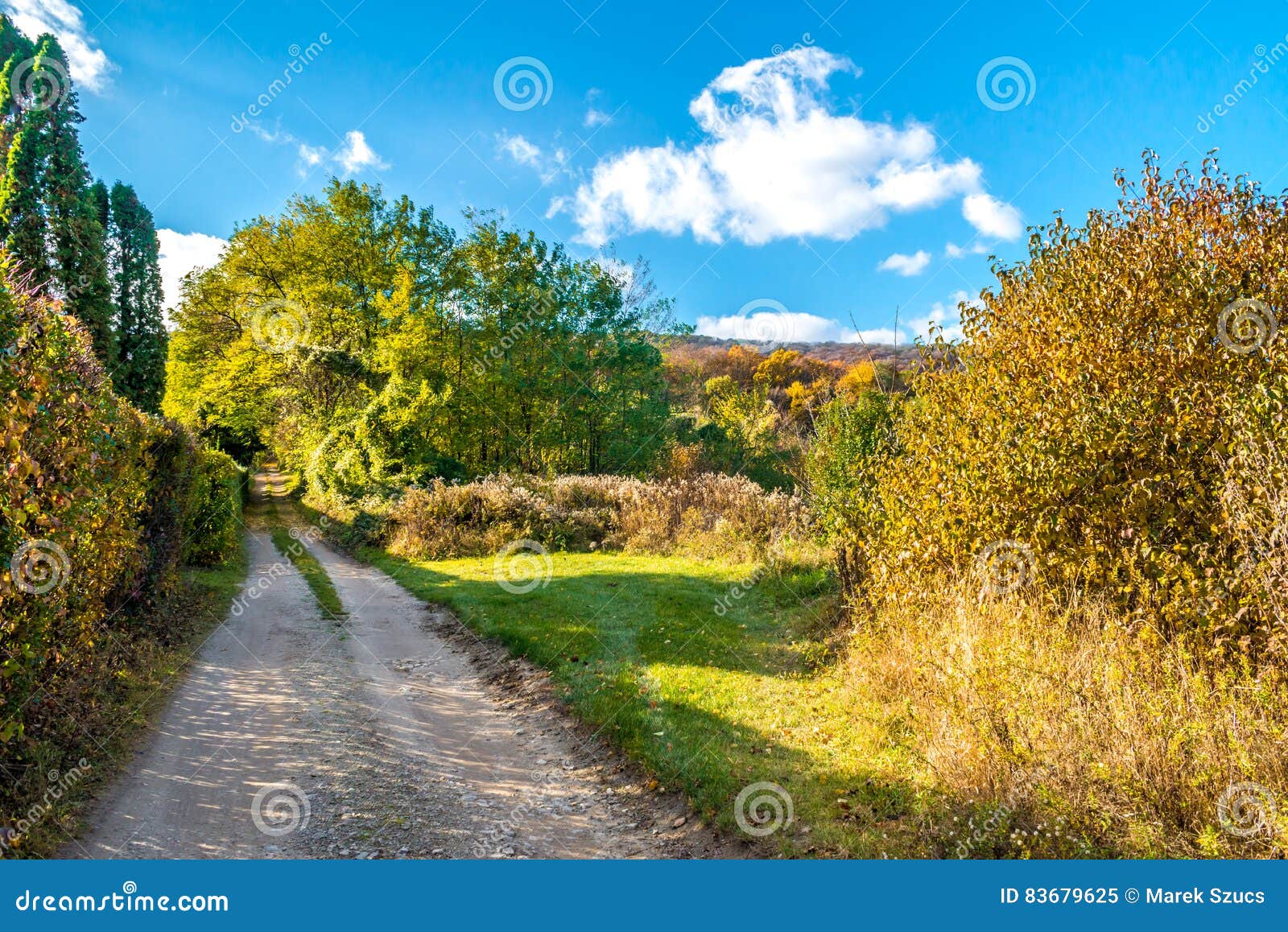 Sparse Begining Forest Path, Autumn, November, Slovakia Stock Image ...