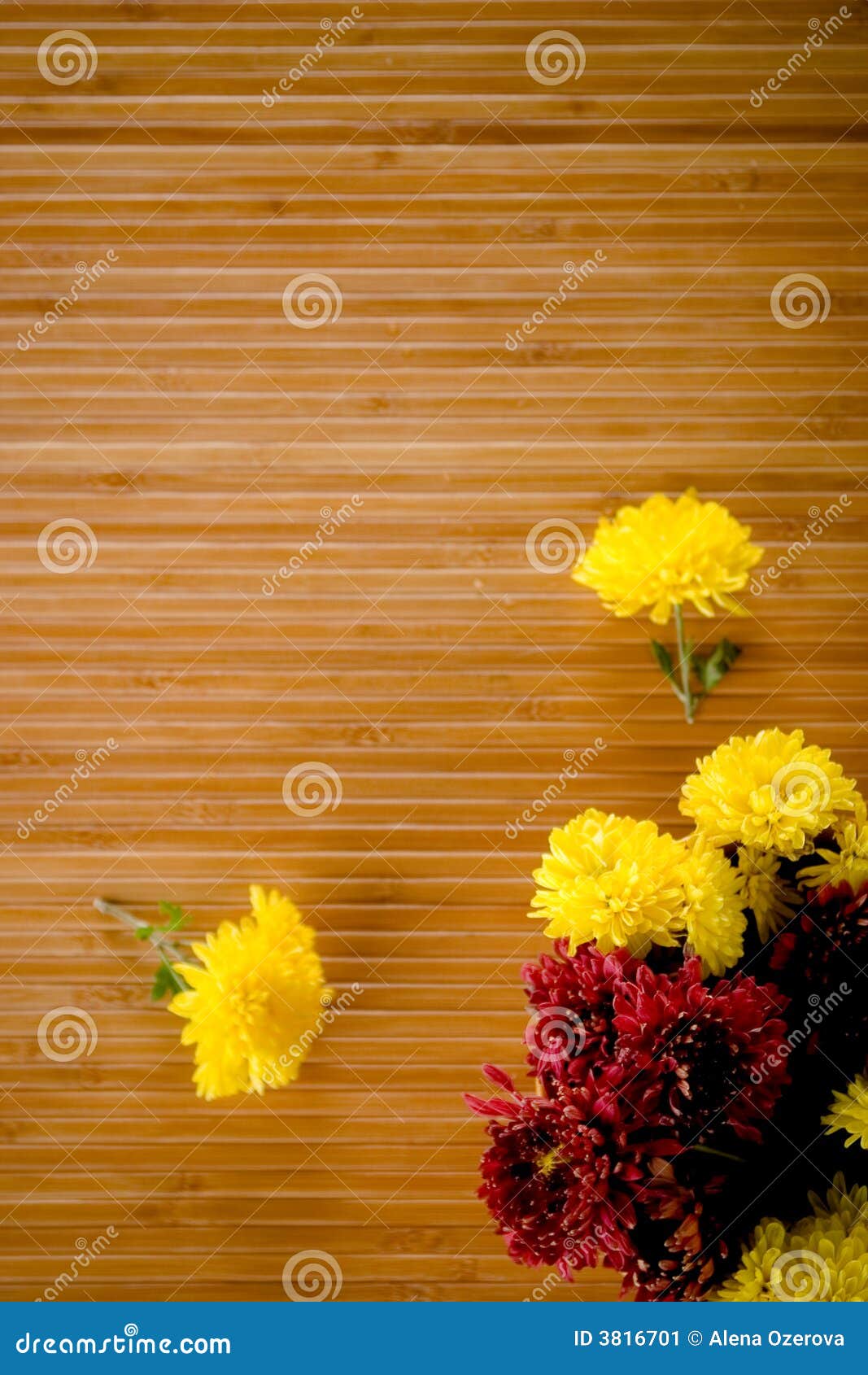 Sparse flowers on bamboo stock image. Image of decoration - 3816701