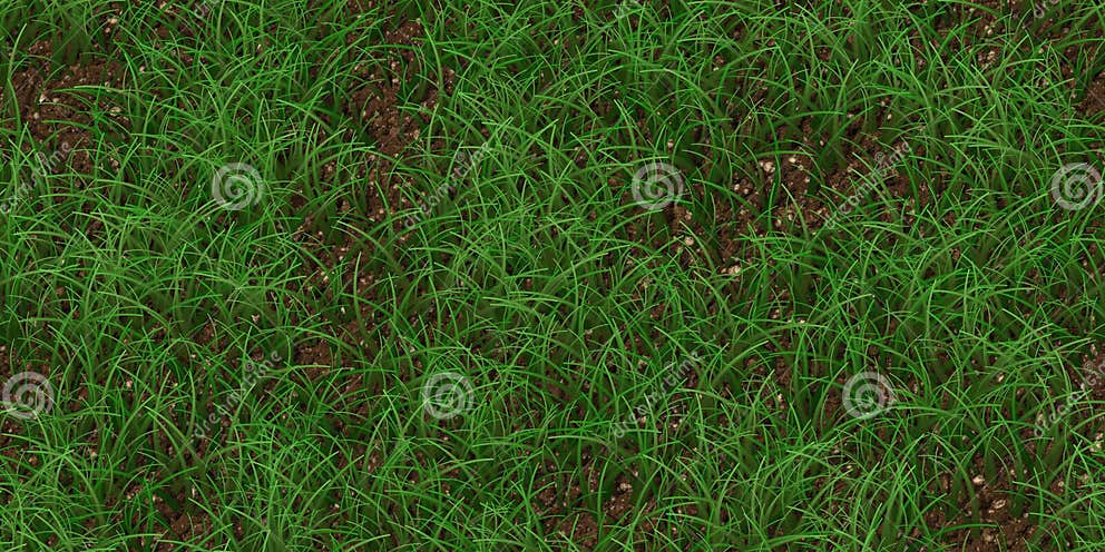 Sparse Textured Meadow Backdrop. Grass Texture. Field Background Stock ...