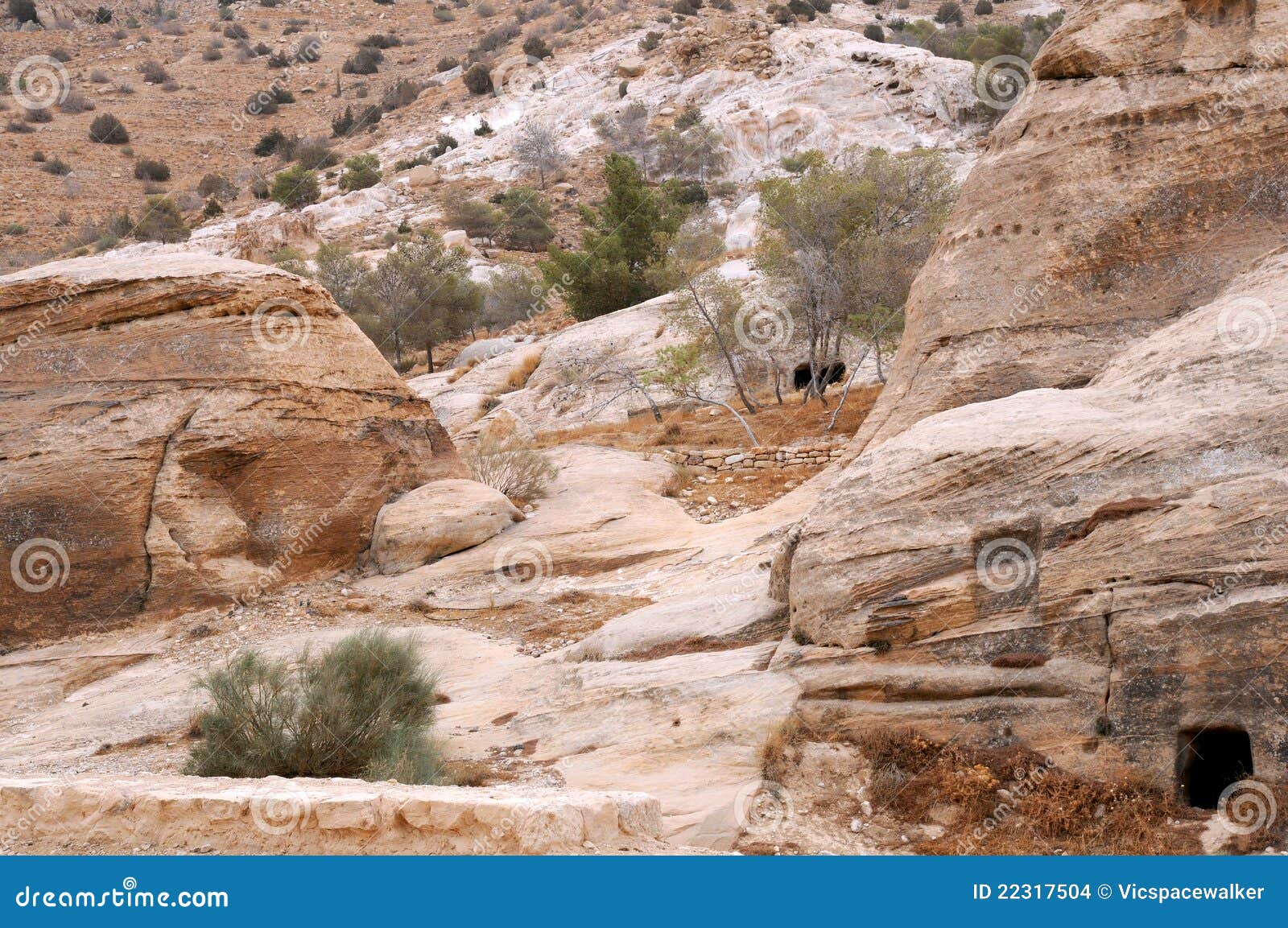 Sparse Vegetation in the Mountains of Petra Stock Photo - Image of ...