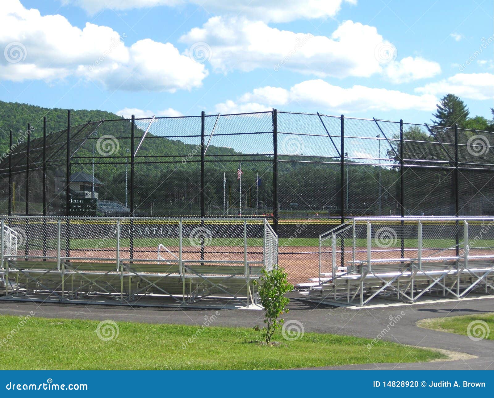 Spartan Sports stock photo. Image of sportsmanship, baseball - 14828920