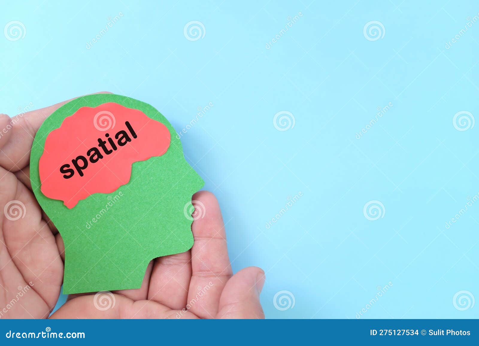 Spatial Intelligence In Psychology Concept. Hand Holding Human Head ...