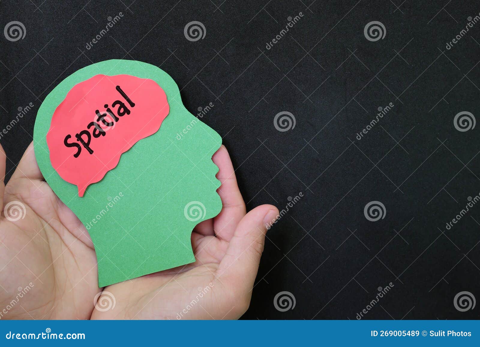 Spatial Intelligence In Psychology Concept. Hand Holding Human Head ...