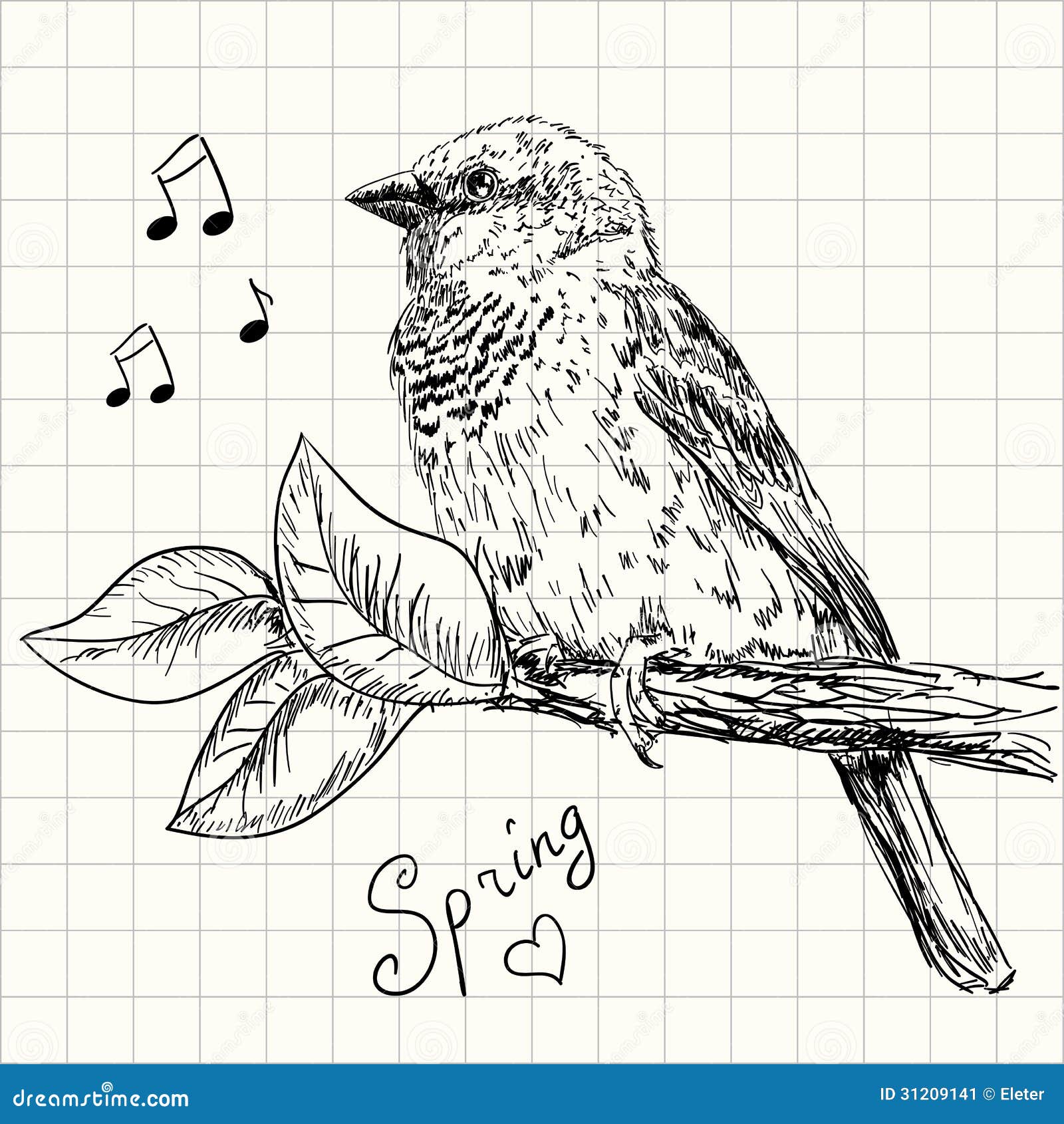 Spatz vektor abbildung. Illustration von garten, empfindlich - 31209141