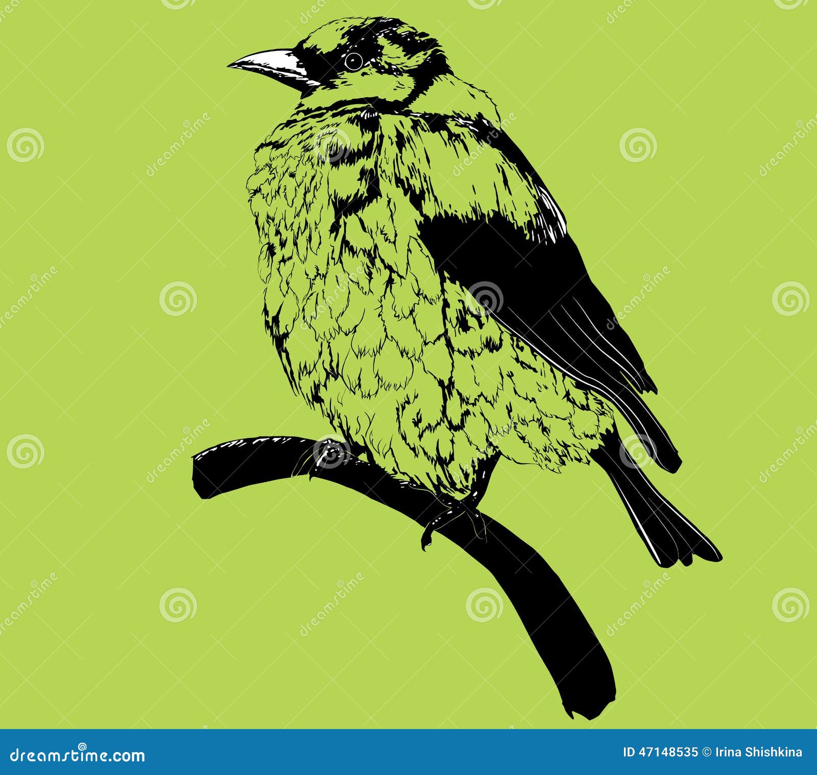 Spatz vektor abbildung. Illustration von feder, form - 47148535