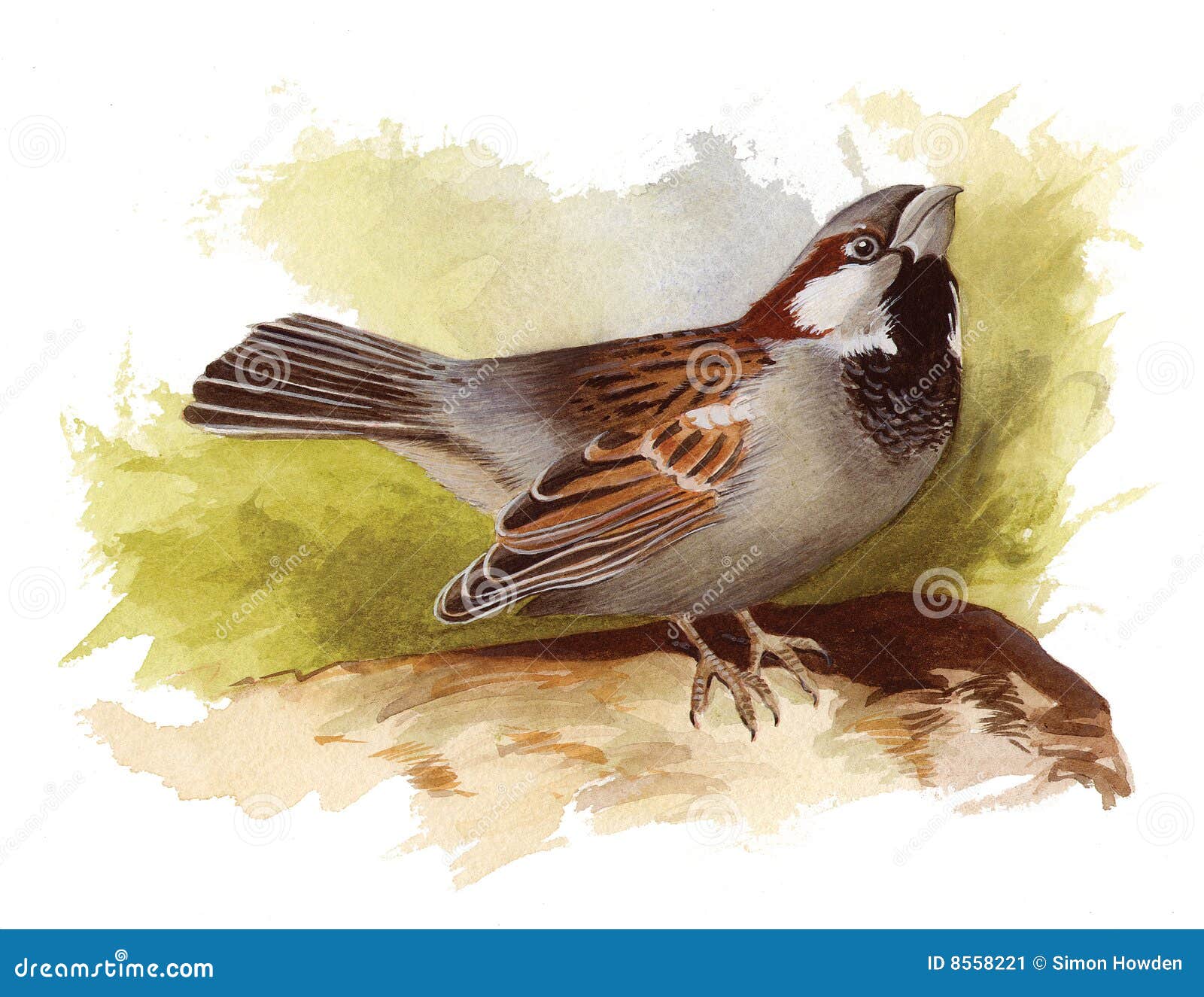 Spatz stock abbildung. Illustration von grün, kunst, spatz - 8558221