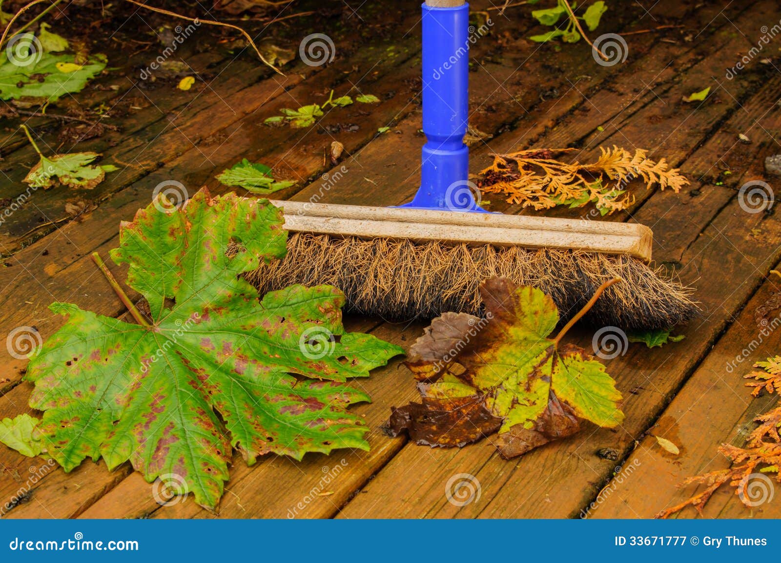Spazzare le foglie immagine stock. Immagine di scopare - 33671777