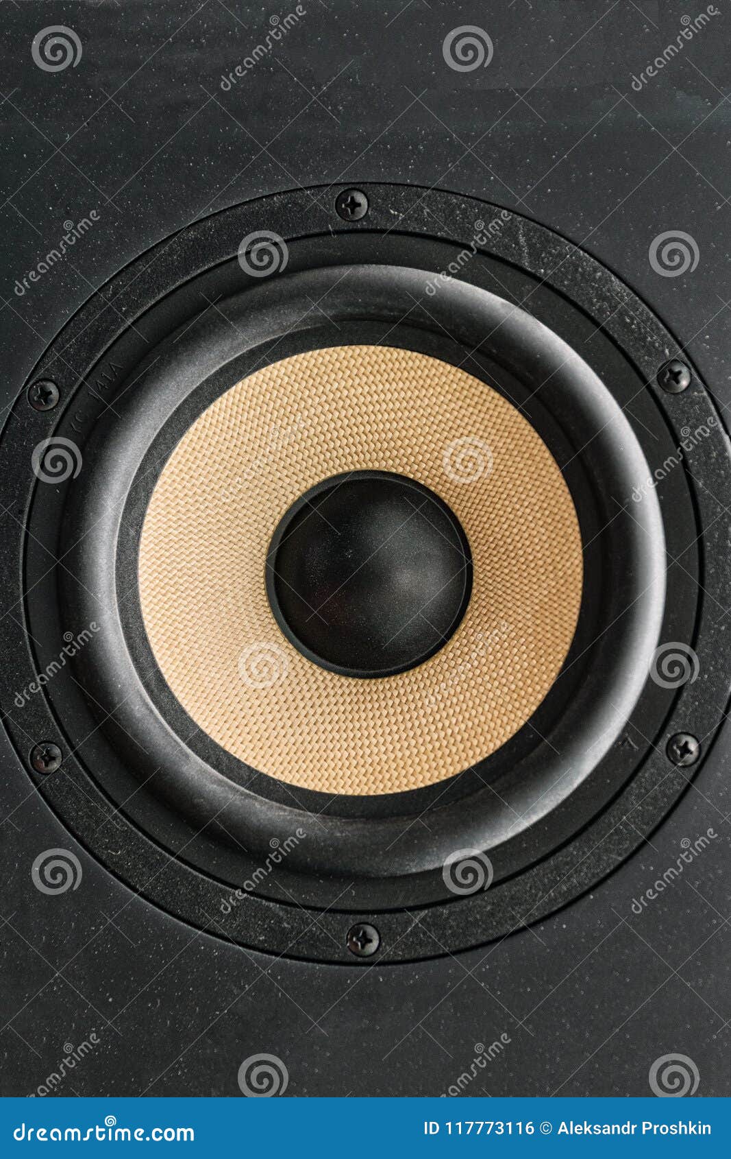 Speaker Loudspeaker with Yellow Diffuser Stock Photo - Image of ...