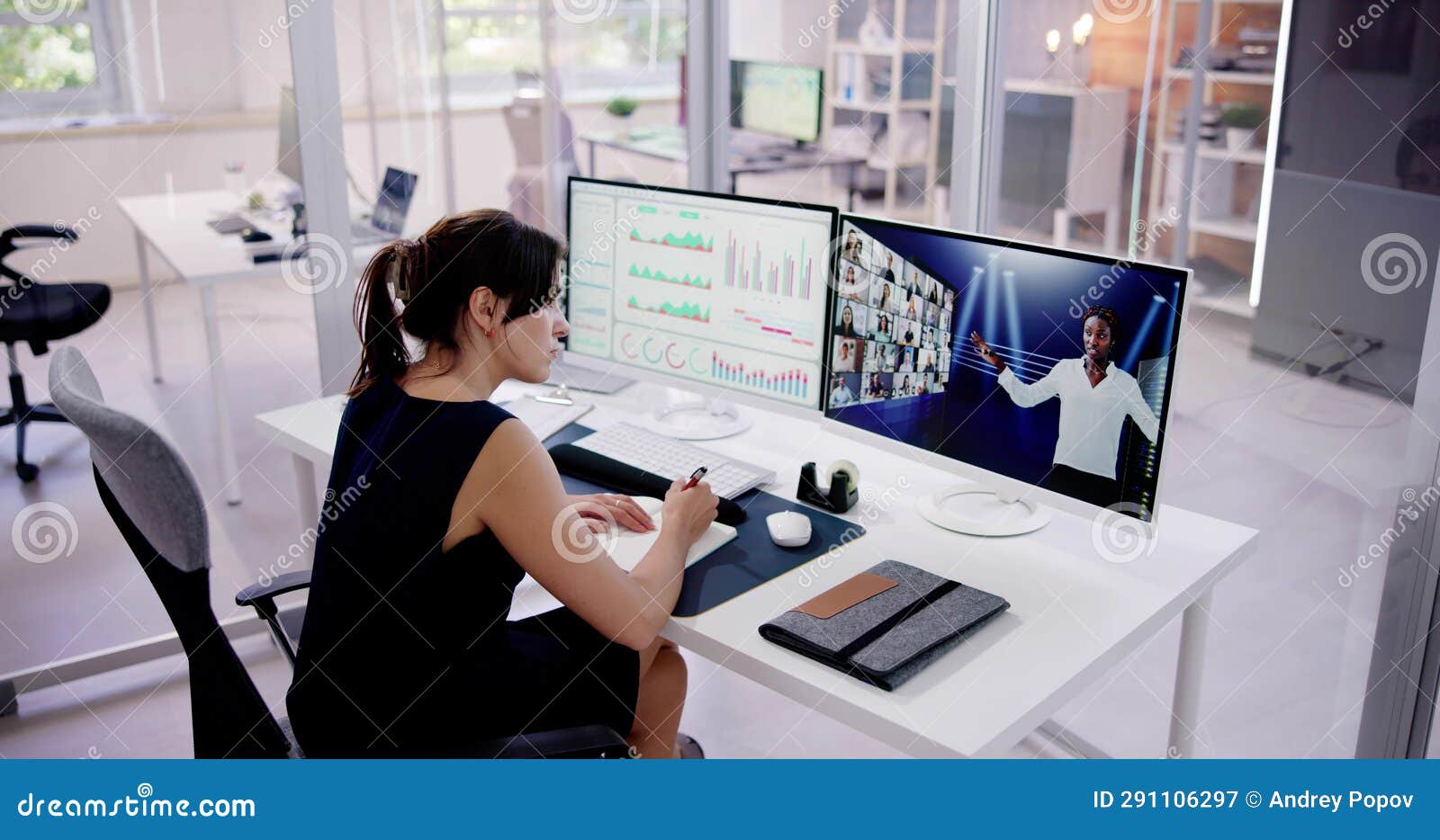 Speaker at Virtual Training Seminar. Training Conference Stock Image ...