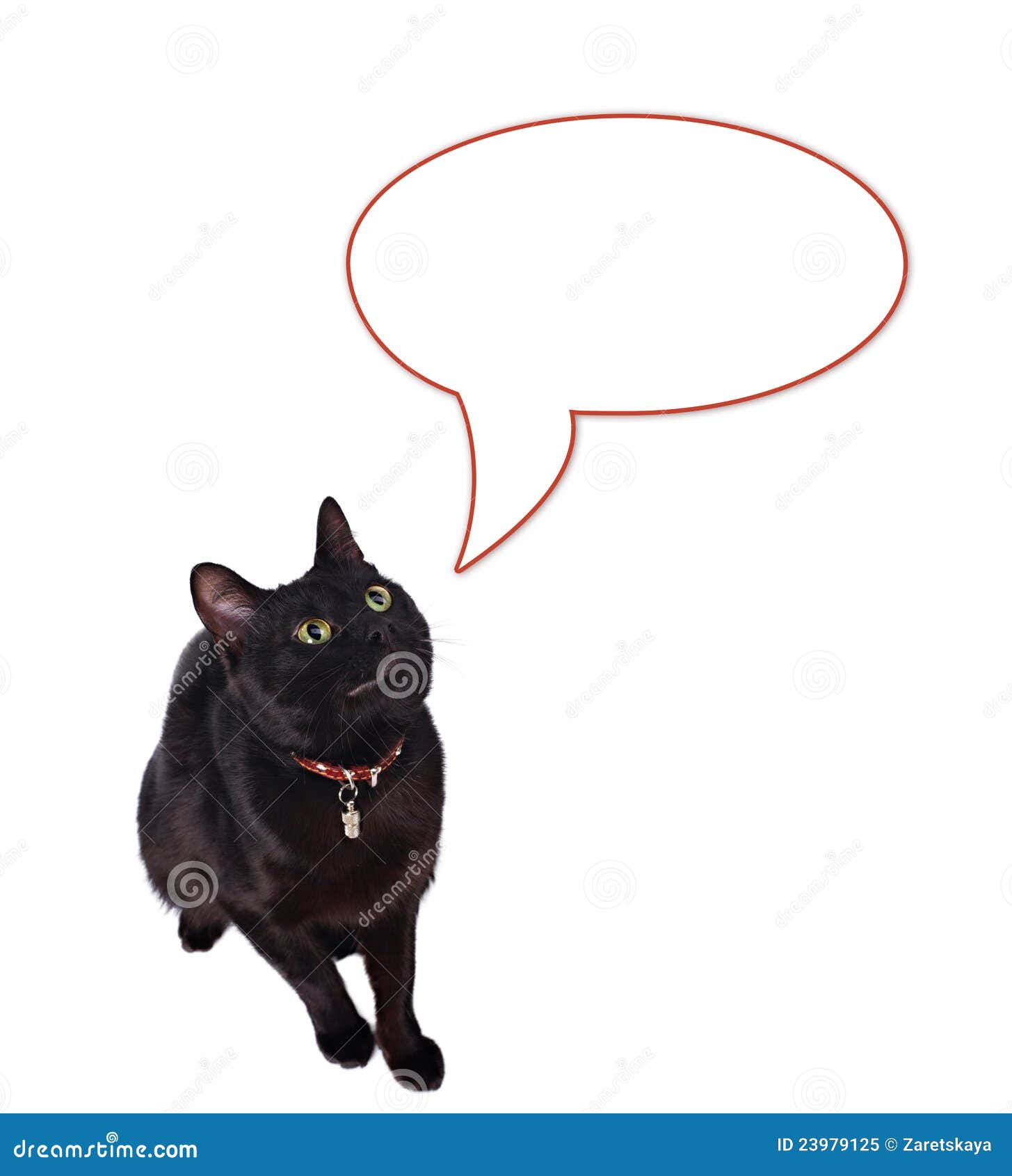 Speaking cat stock image. Image of creature, studio, speak - 23979125