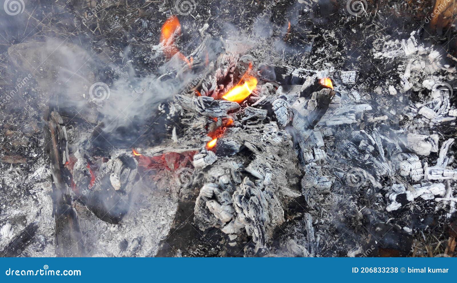 Speaking Fire in the Forest Stock Photo - Image of screenshot, fire ...