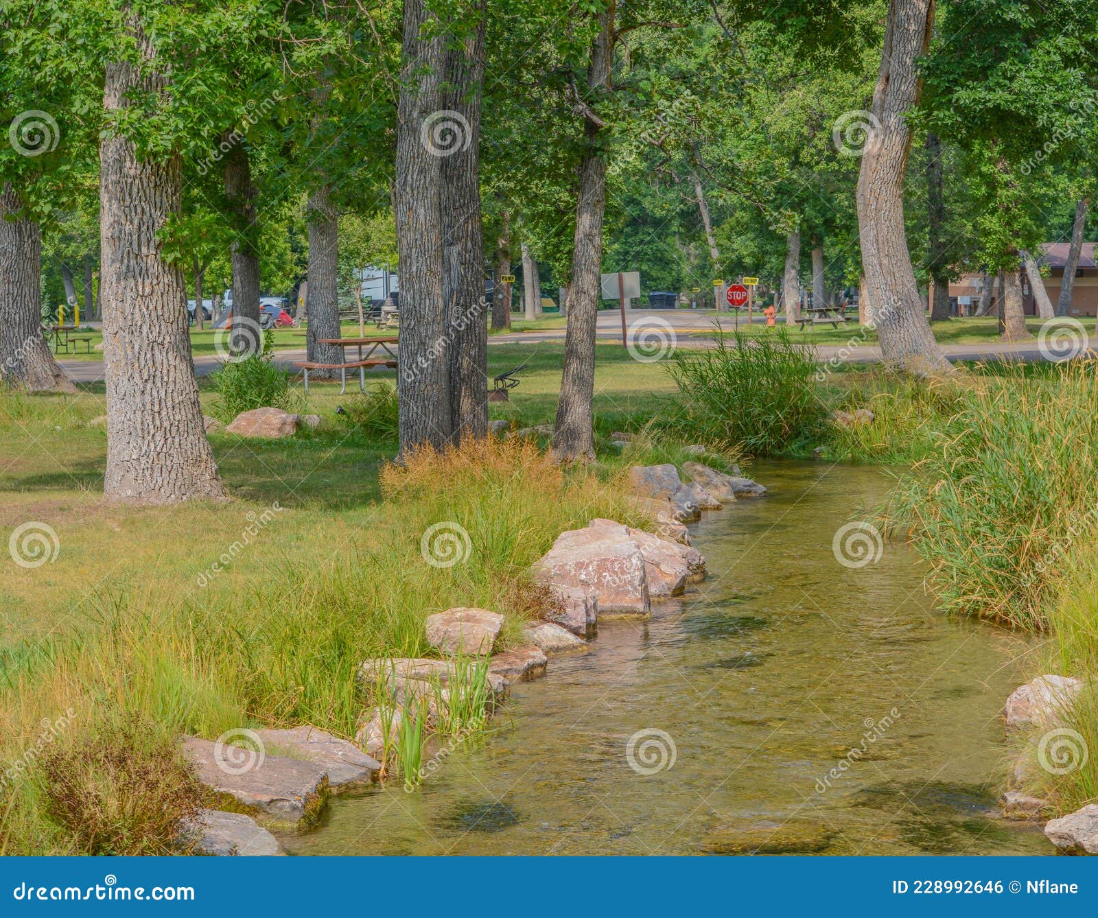 The Spearfish Creek Flowing through the Spearfish City Campground in ... The Spearfish Creek Flowing through the Spearfish City Campground in ...