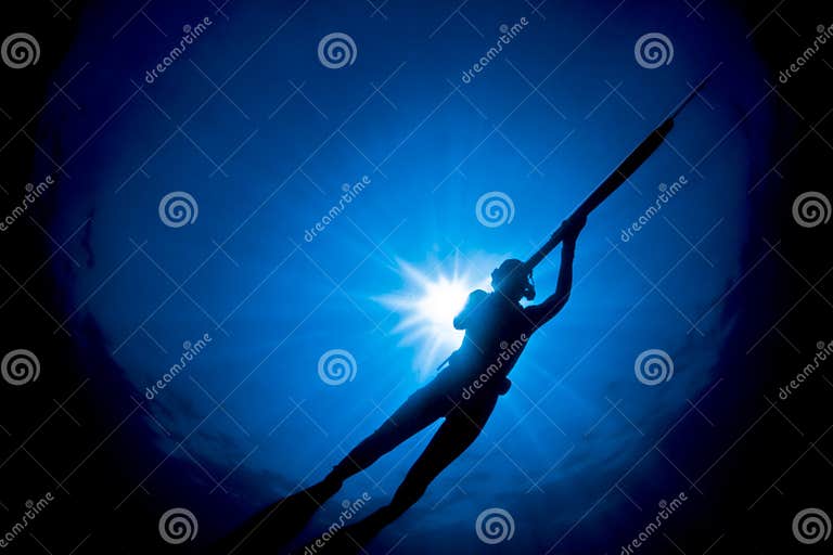 Spearfishing in Australia stock image. Image of sport - 24404385