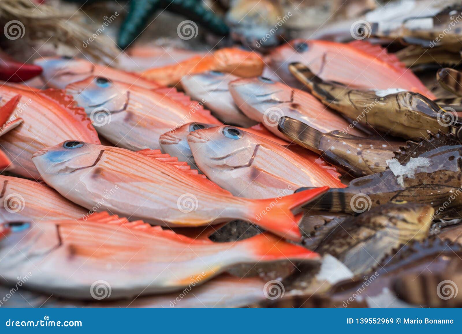 Special Ceramic Depictions of Fish Typical of the Mediterranean Sea ...