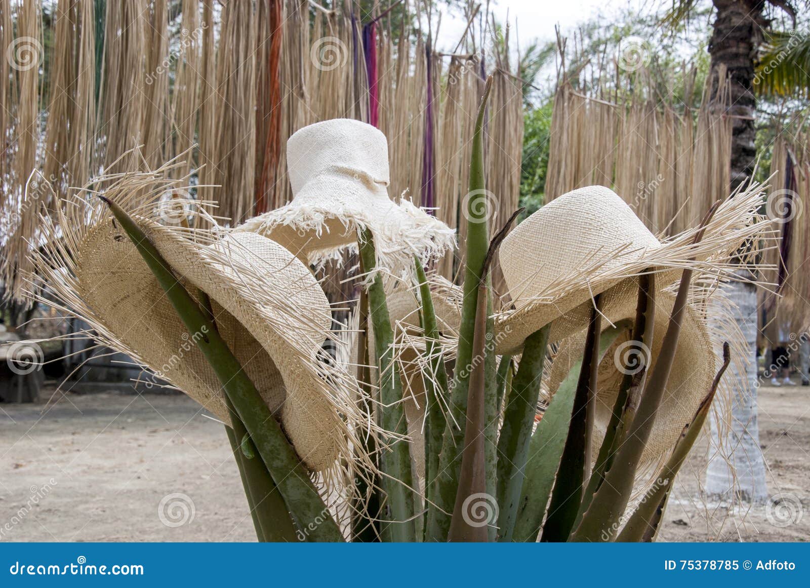 Special Display of Straw Hats Stock Image - Image of casual, palm: 75378785