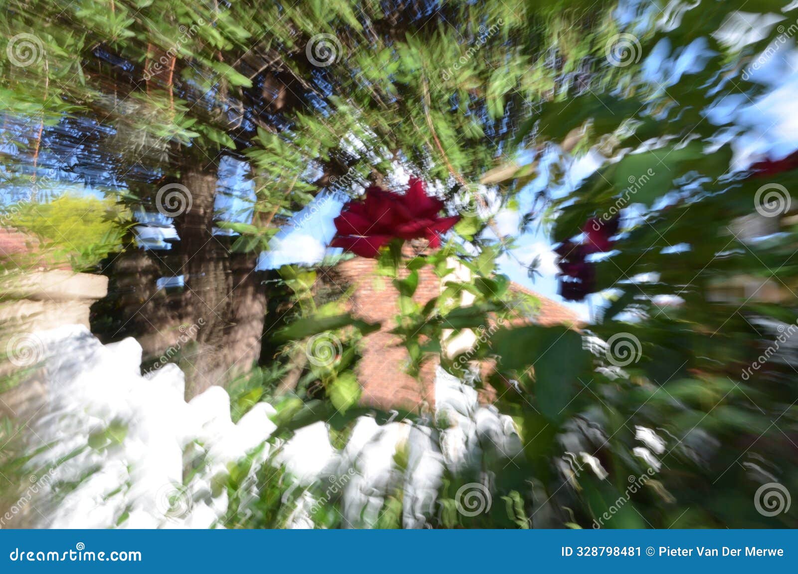 Special Effect Flowers Picture Motioned Abstract View on a Flowers ...