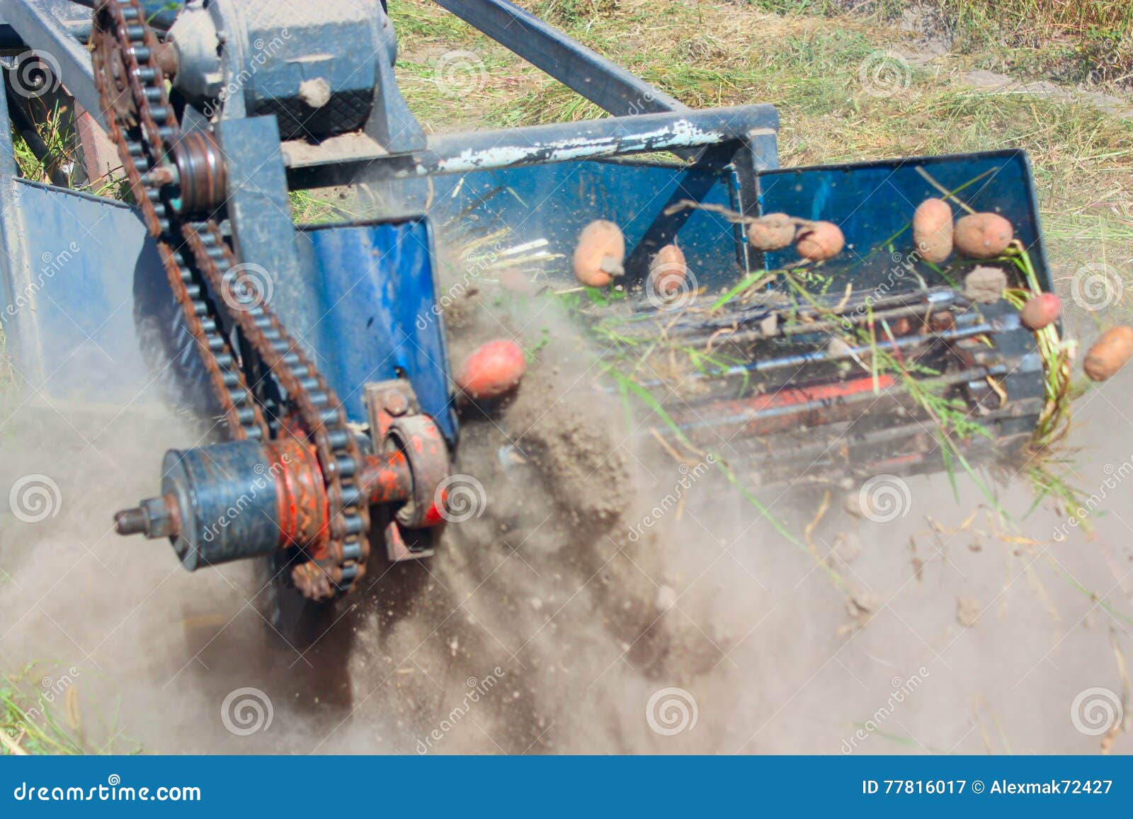 Special Equipment on a Tractor for Digging the Potato Stock Image ...