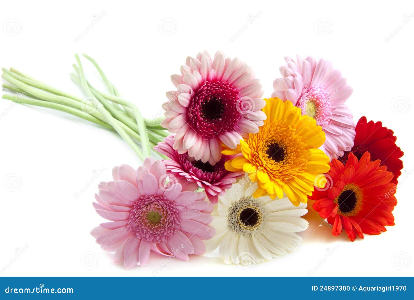 Special flowers stock photo. Image of love, flower, nature - 24897300