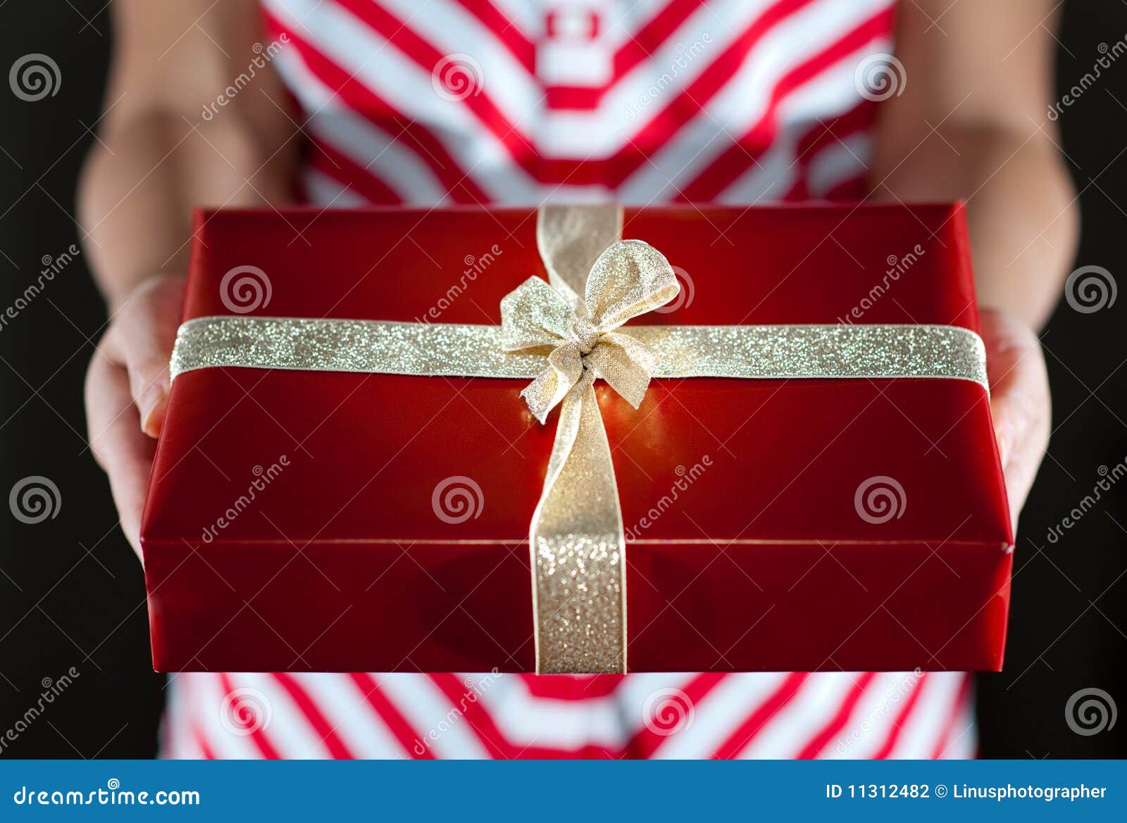 Special gift stock photo. Image of theme, handing, gift - 11312482
