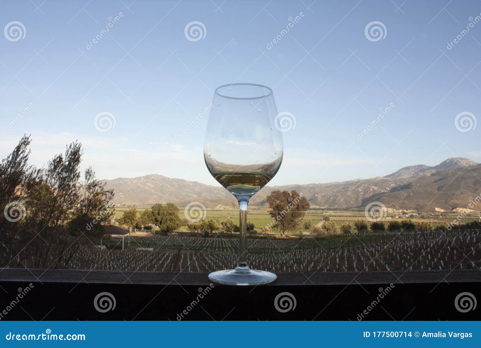 Reflection Effect of Light through a Glass with White Wine on the ...