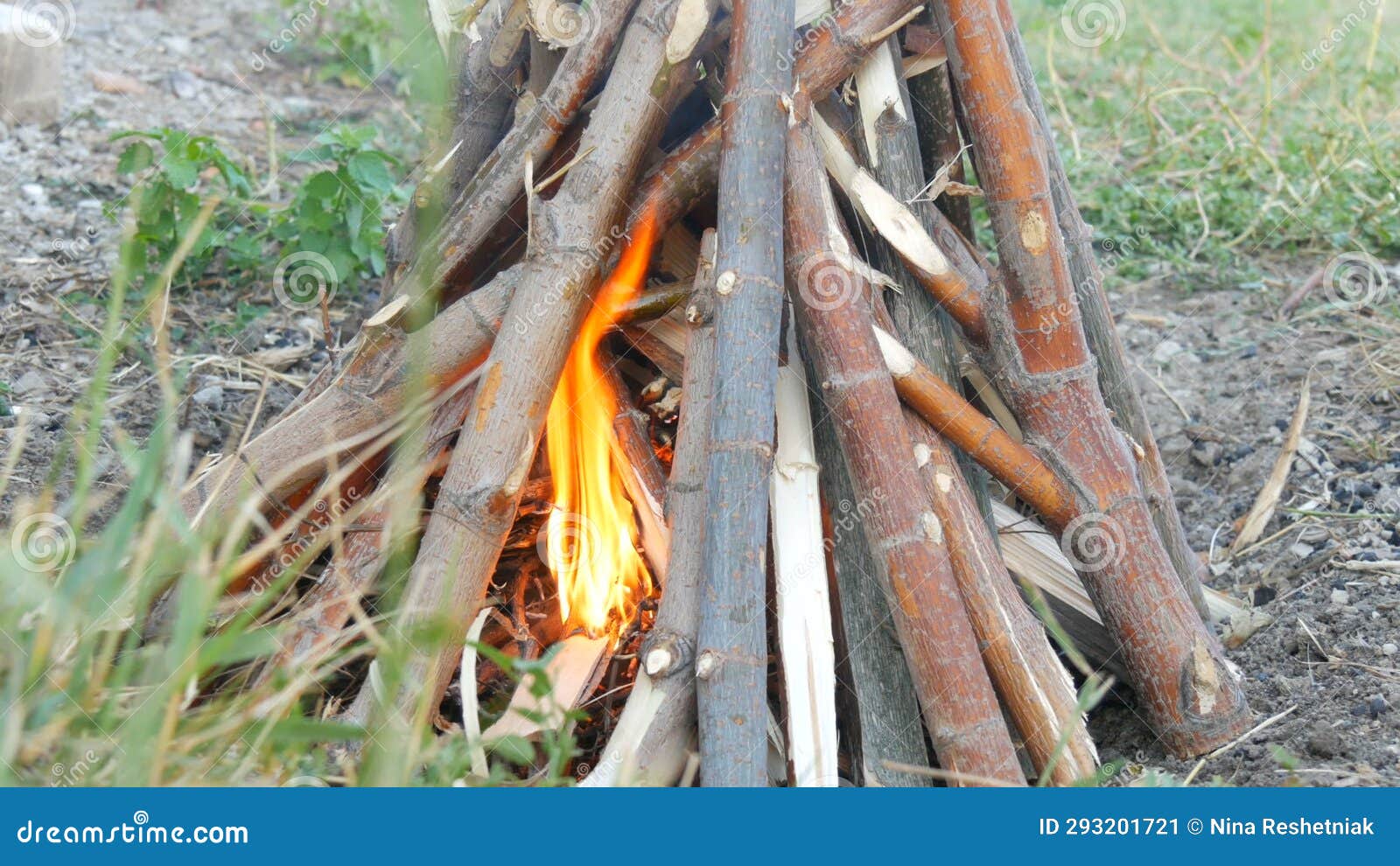 Special House Made of Tree Branches. Bonfire in Nature Stock Video ...