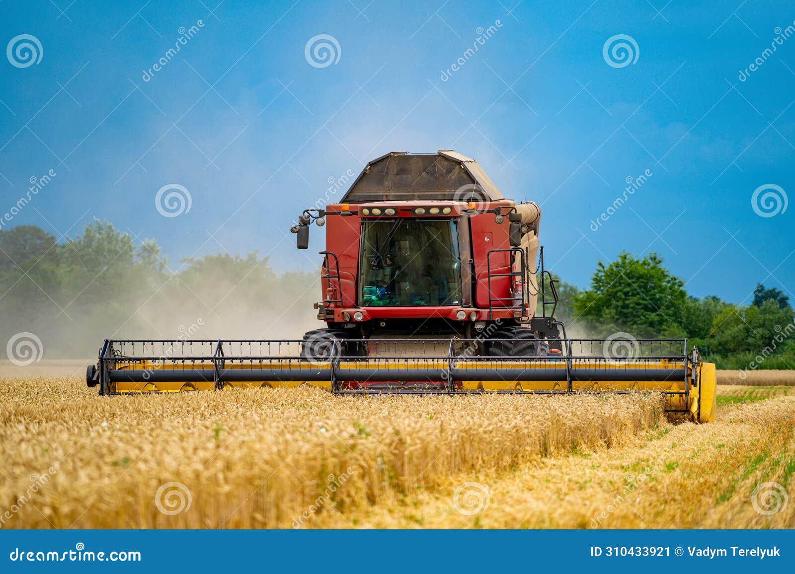 Special Machine Harvesting Crop in Fields, Agricultural Technic in ...