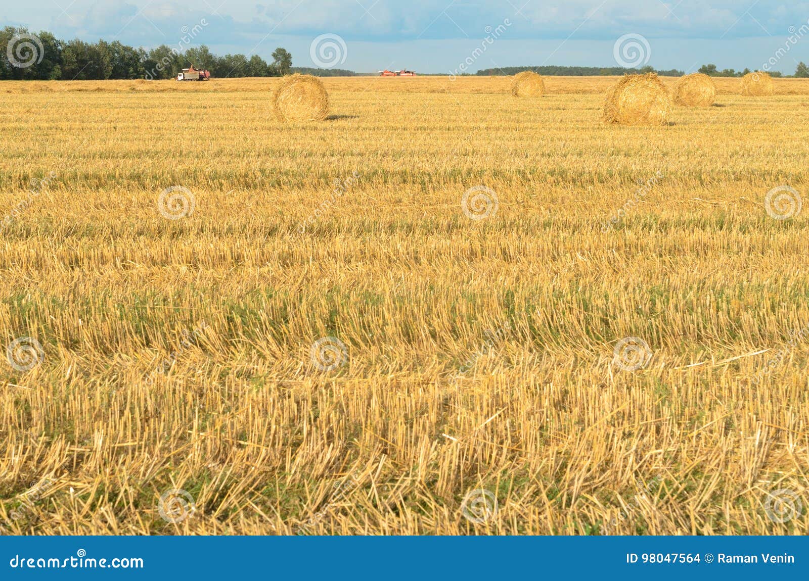 Special Machines for Harvesting Form Round Bales of Hay. Stock Photo ...