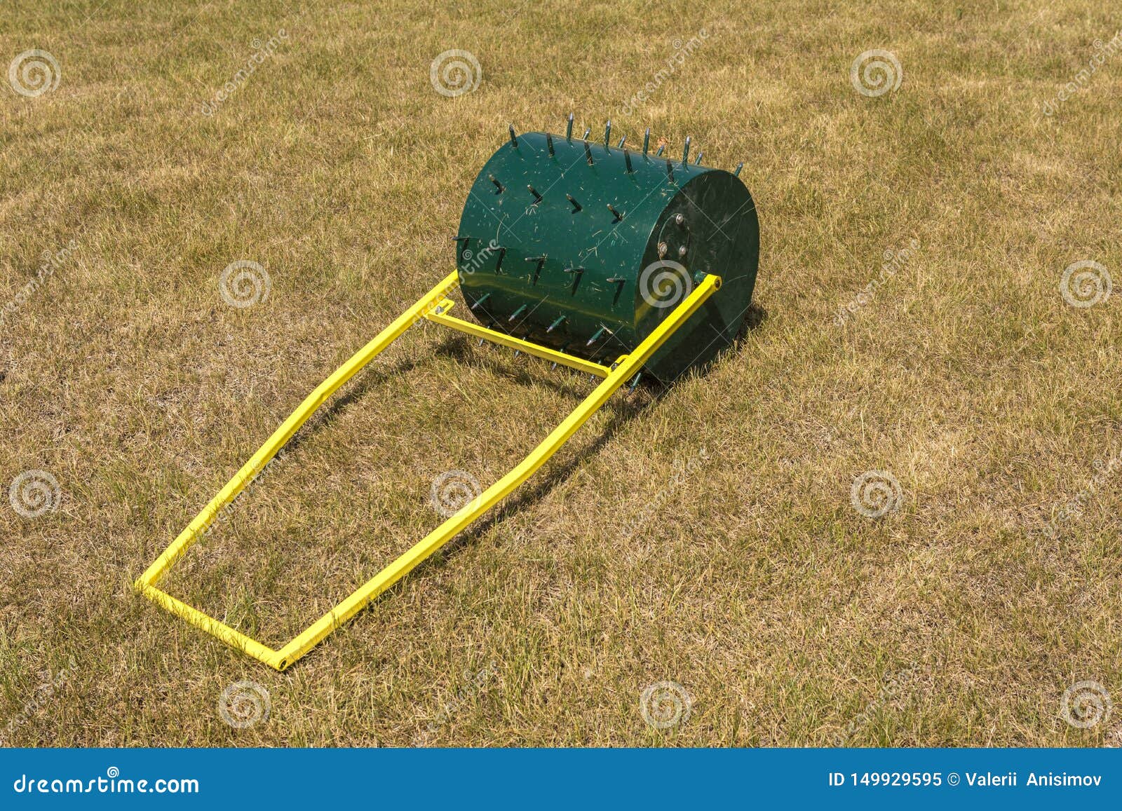 A Special Roller for the Handling and Laying of the Lawn Stock Image ...