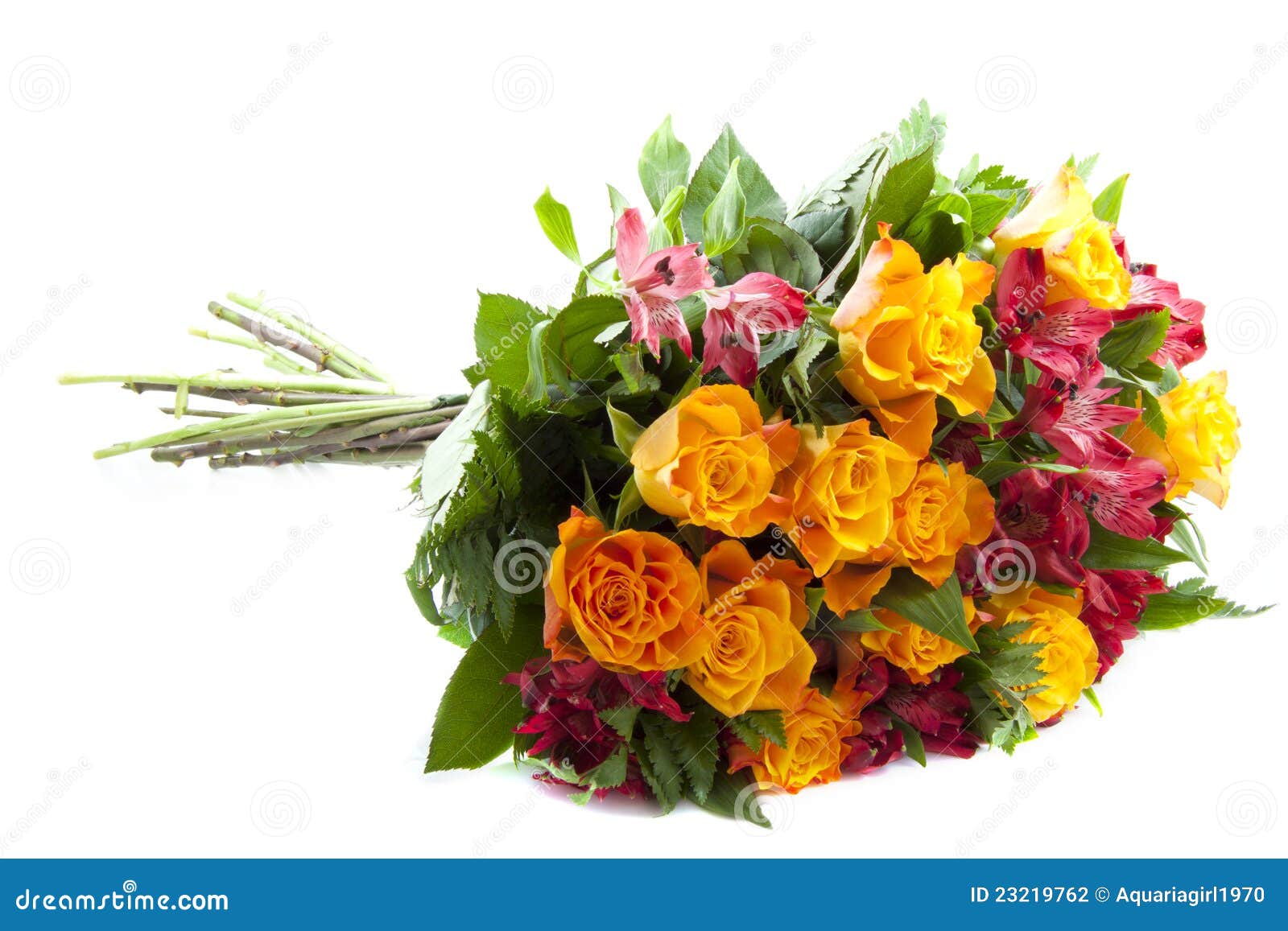 Special rose bouquet stock photo. Image of white, decorative - 23219762
