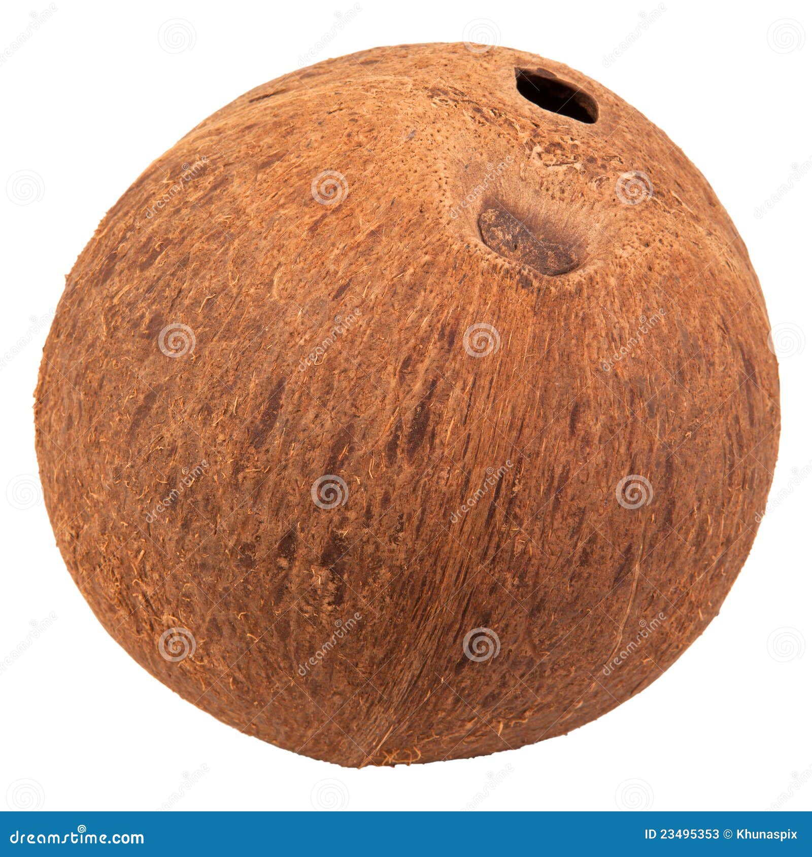 Coconut Shell Royalty-Free Stock Photo | CartoonDealer.com #74599449