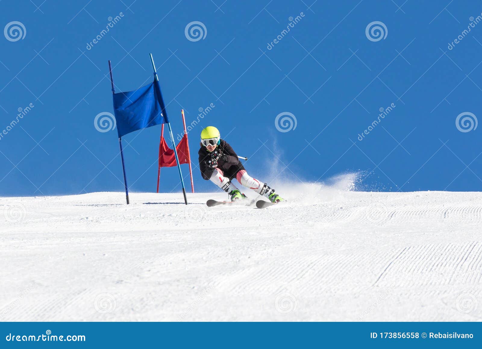 Special slalom competition stock photo. Image of style - 173856558