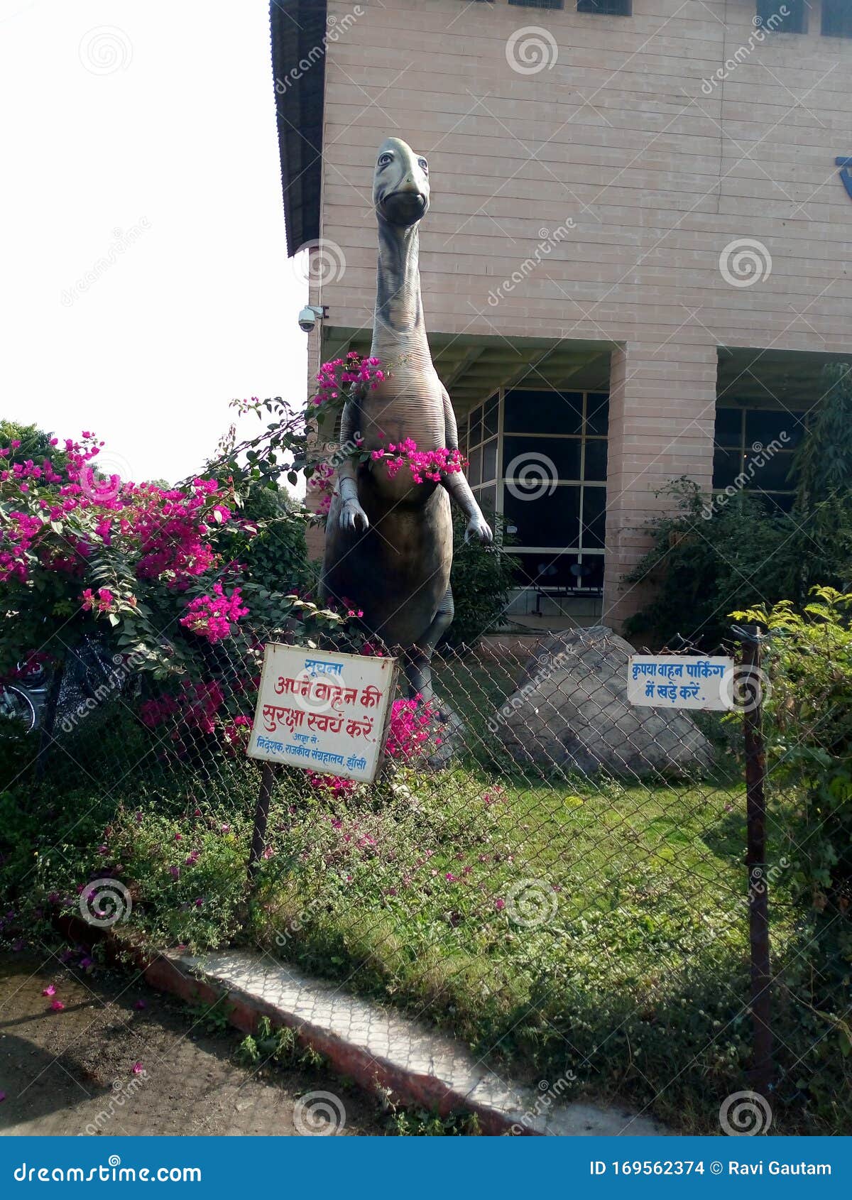 A Statue of Dynasor in a Musium Editorial Stock Image - Image of enjoys ...