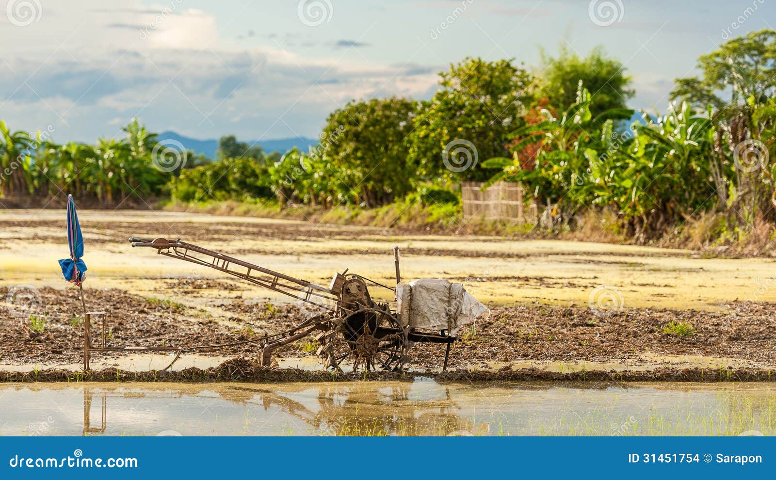 Special Tractor To Prepare the Seedbed for Rice Fields with Blue Stock ...