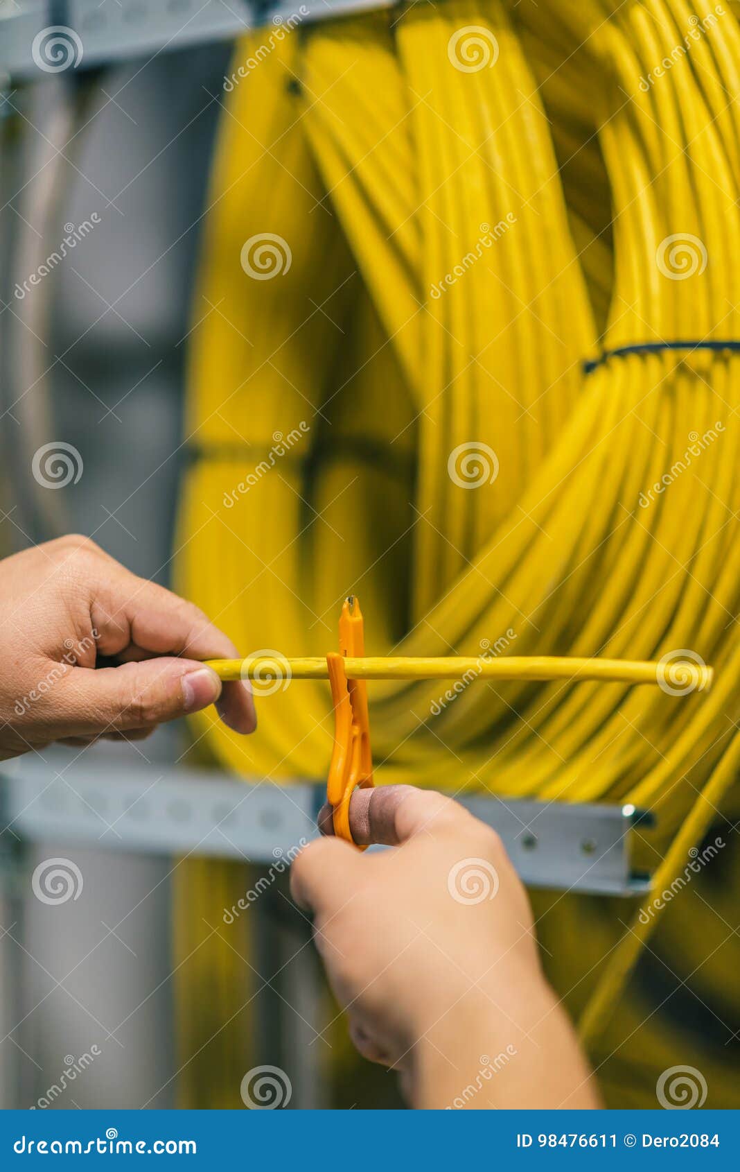 It Specialist Removes the Upper Layer of Insulation of the Network ...