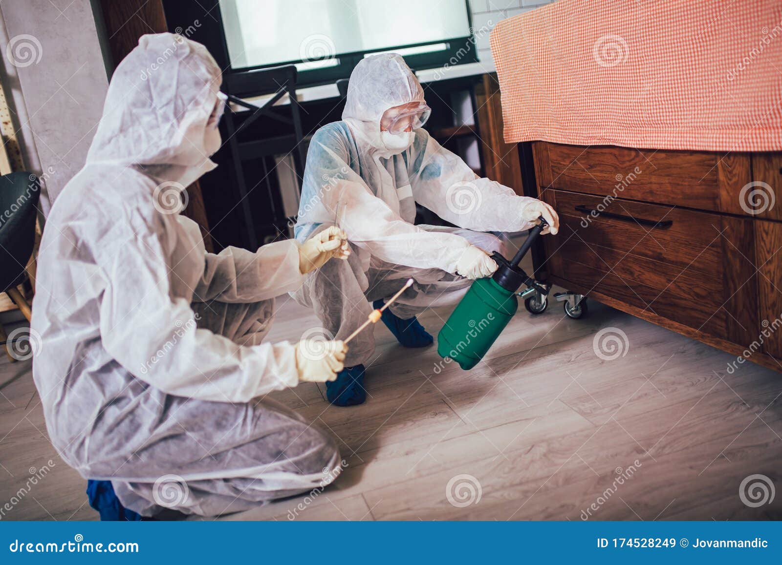 Specialists in Protective Suits Do Disinfection or Pest Control Stock ...