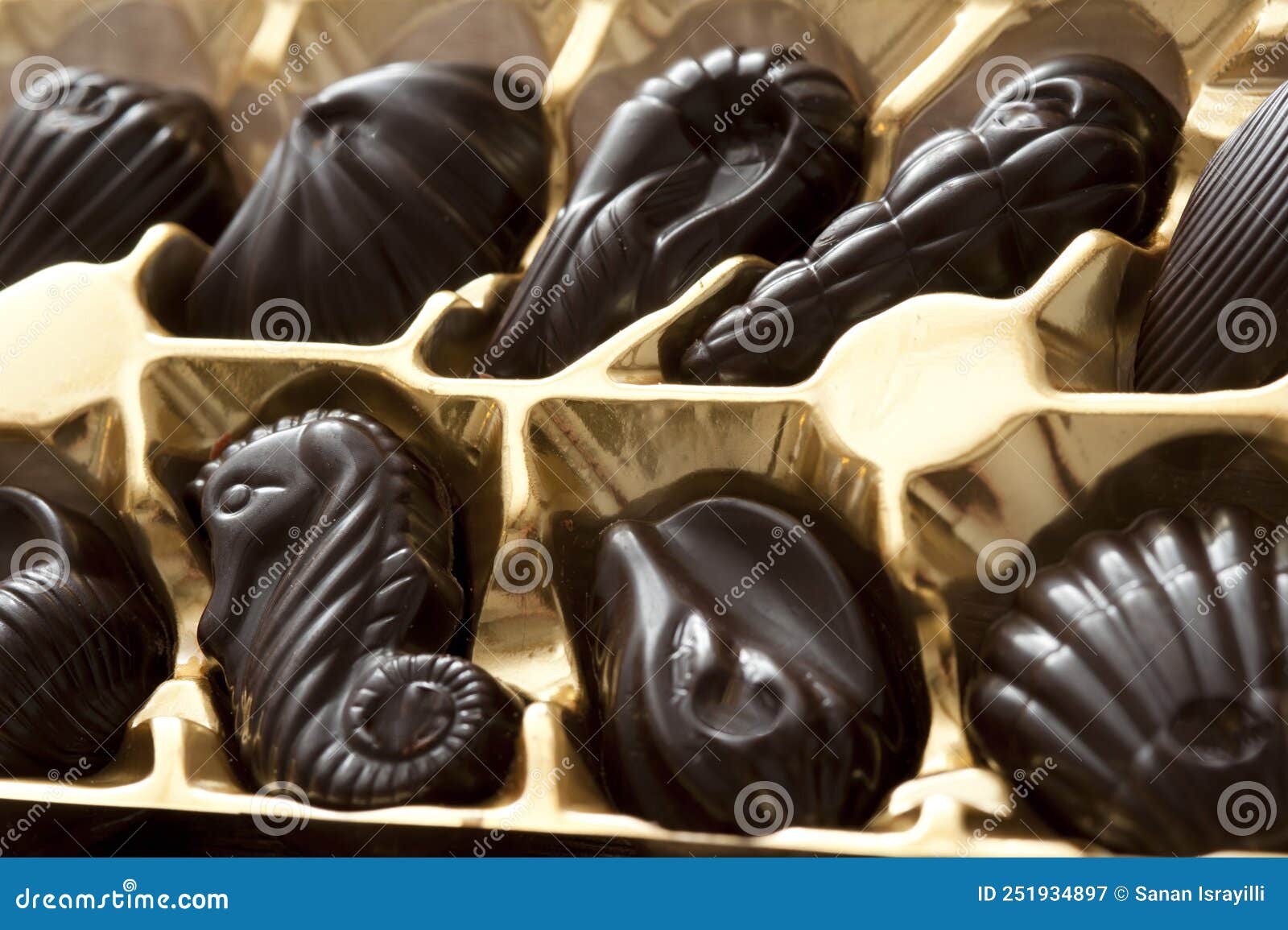 Speciality Shell Shaped Dark Chocolates in Their Original Molded ...
