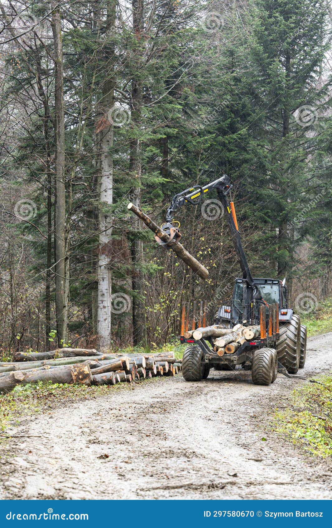 A Specialized Forest Tractor Working with Logging in the Rain in the ...