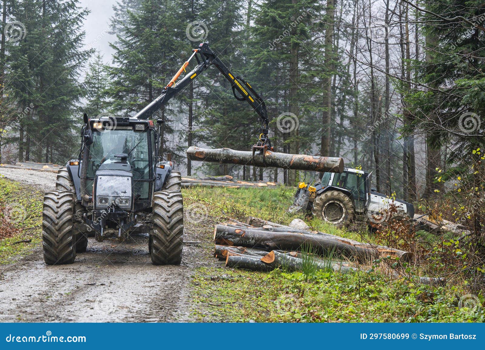 A Specialized Forest Tractor Working with Logging in the Rain in the ...